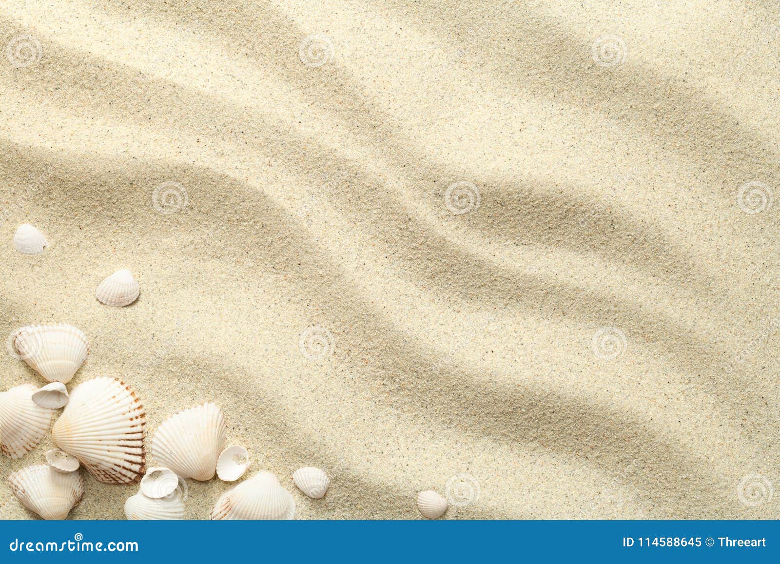 Sand Background with Shells Stock Image - Image of white, sand: 114588645
