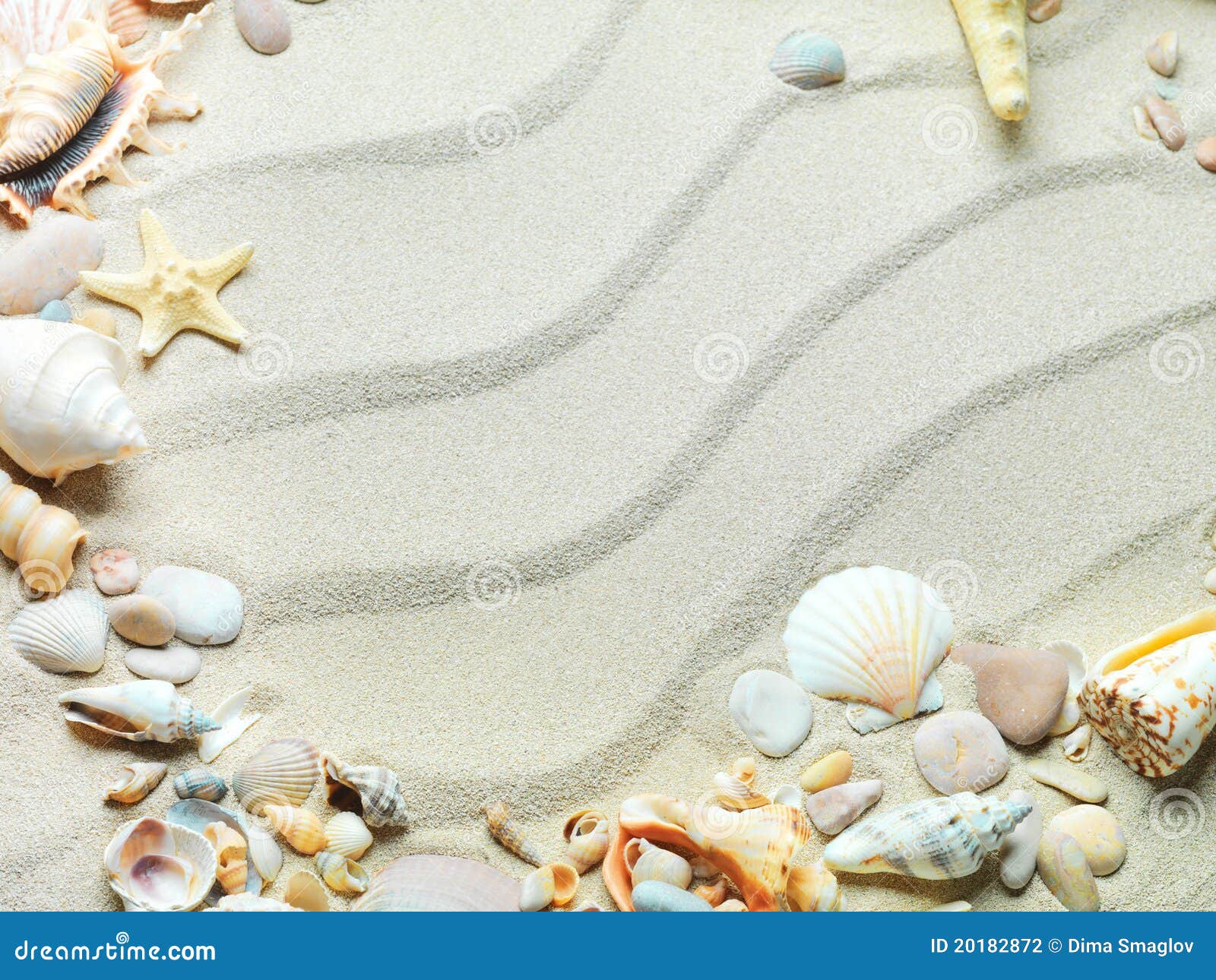 Sand Background with Shells and Starfish Stock Photo - Image of shell ...