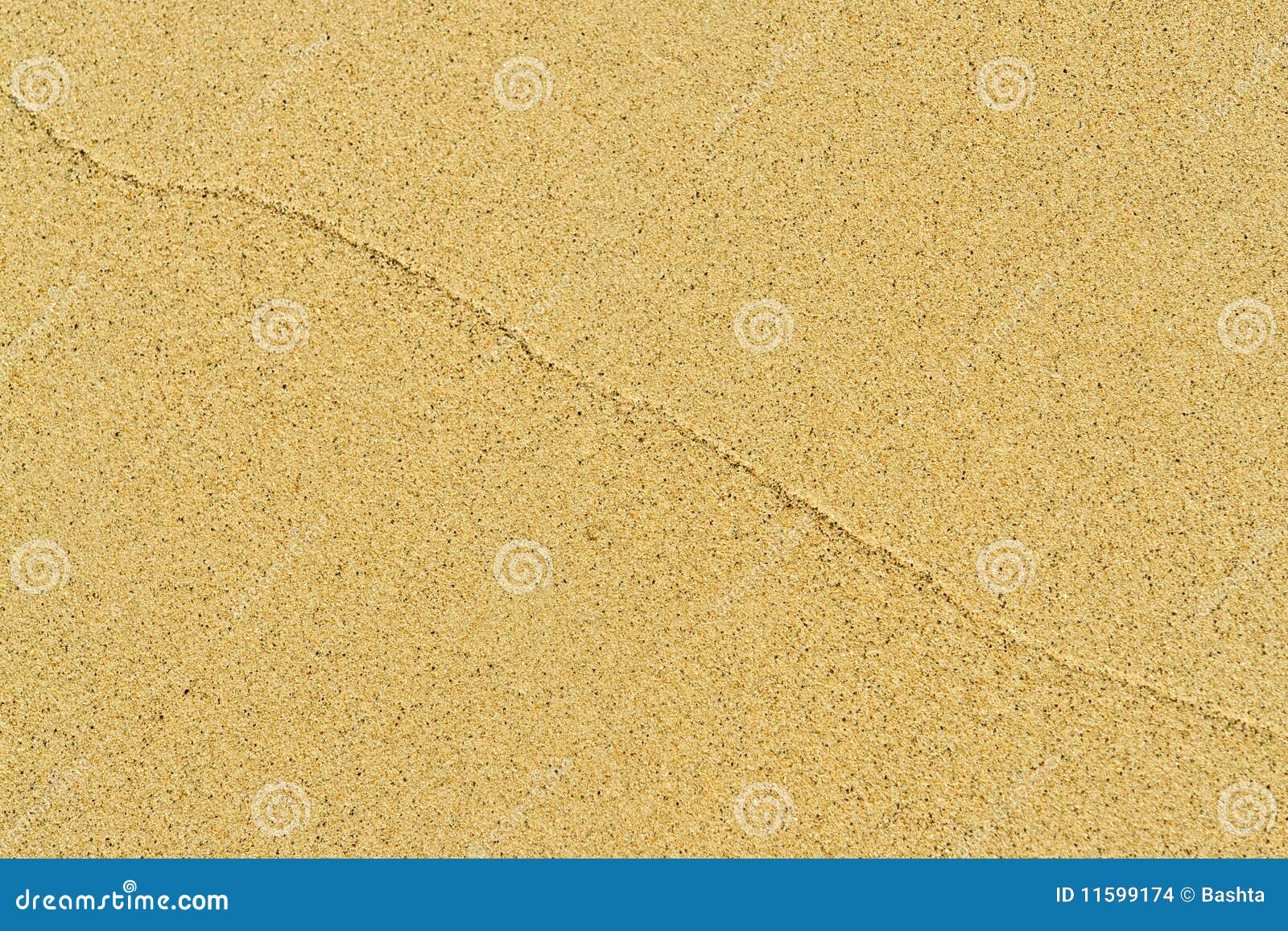 Sand background texture. stock photo. Image of texture - 11599174