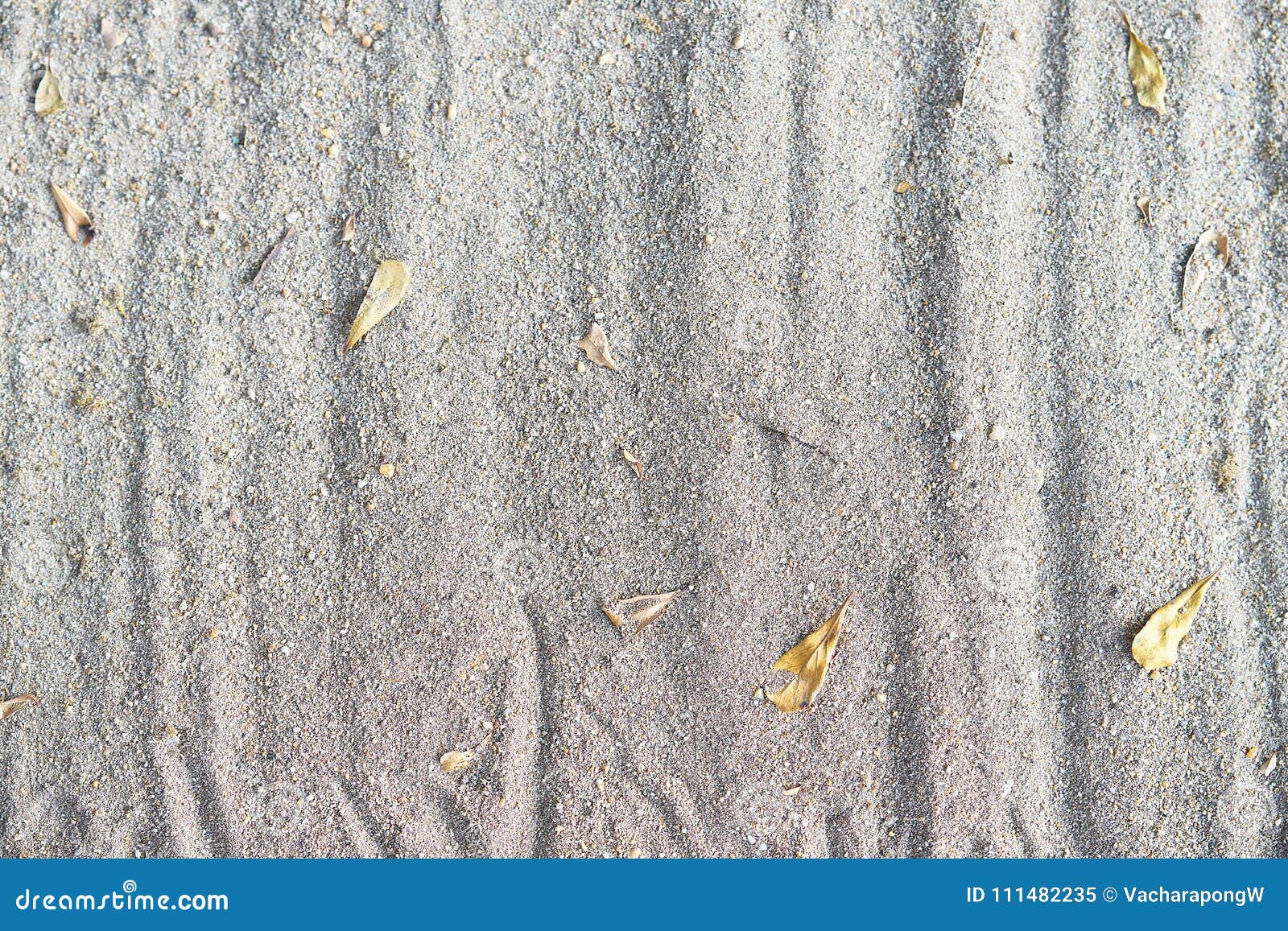 Sand Background Texture with Dry Fall Leaves ,rough Stock Image - Image ...