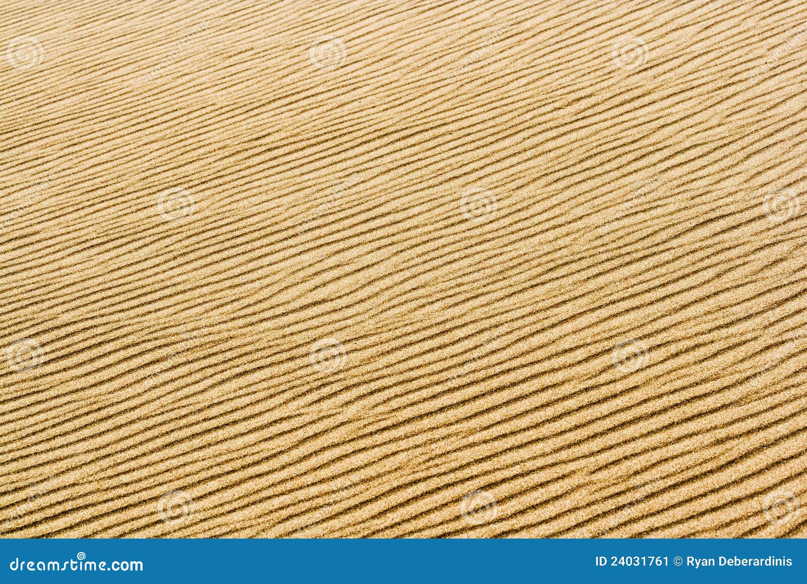 Sand Background Texture Pattern Stock Image - Image of wind, organic ...