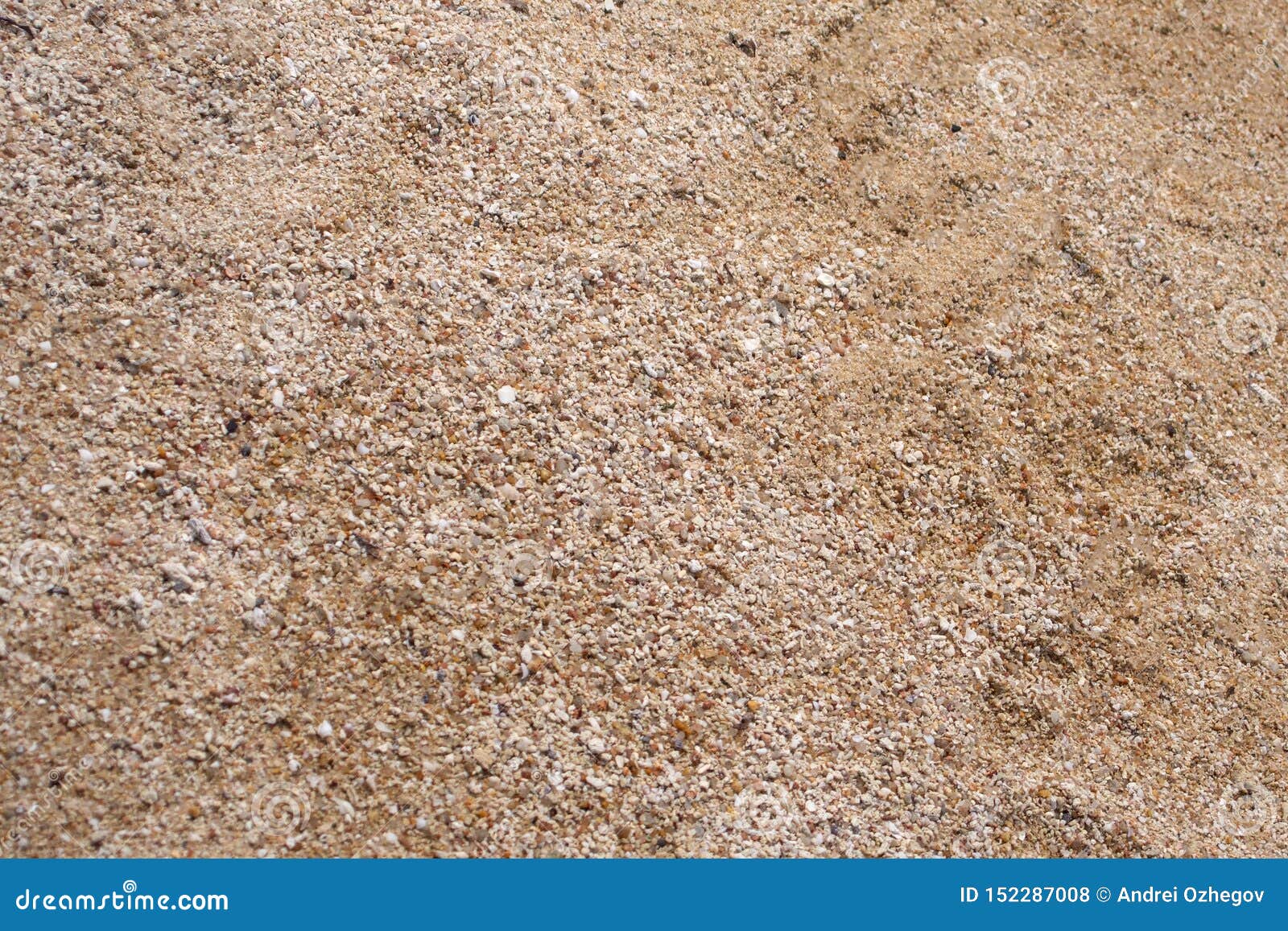 Sand background texture. stock photo. Image of texture - 152287008