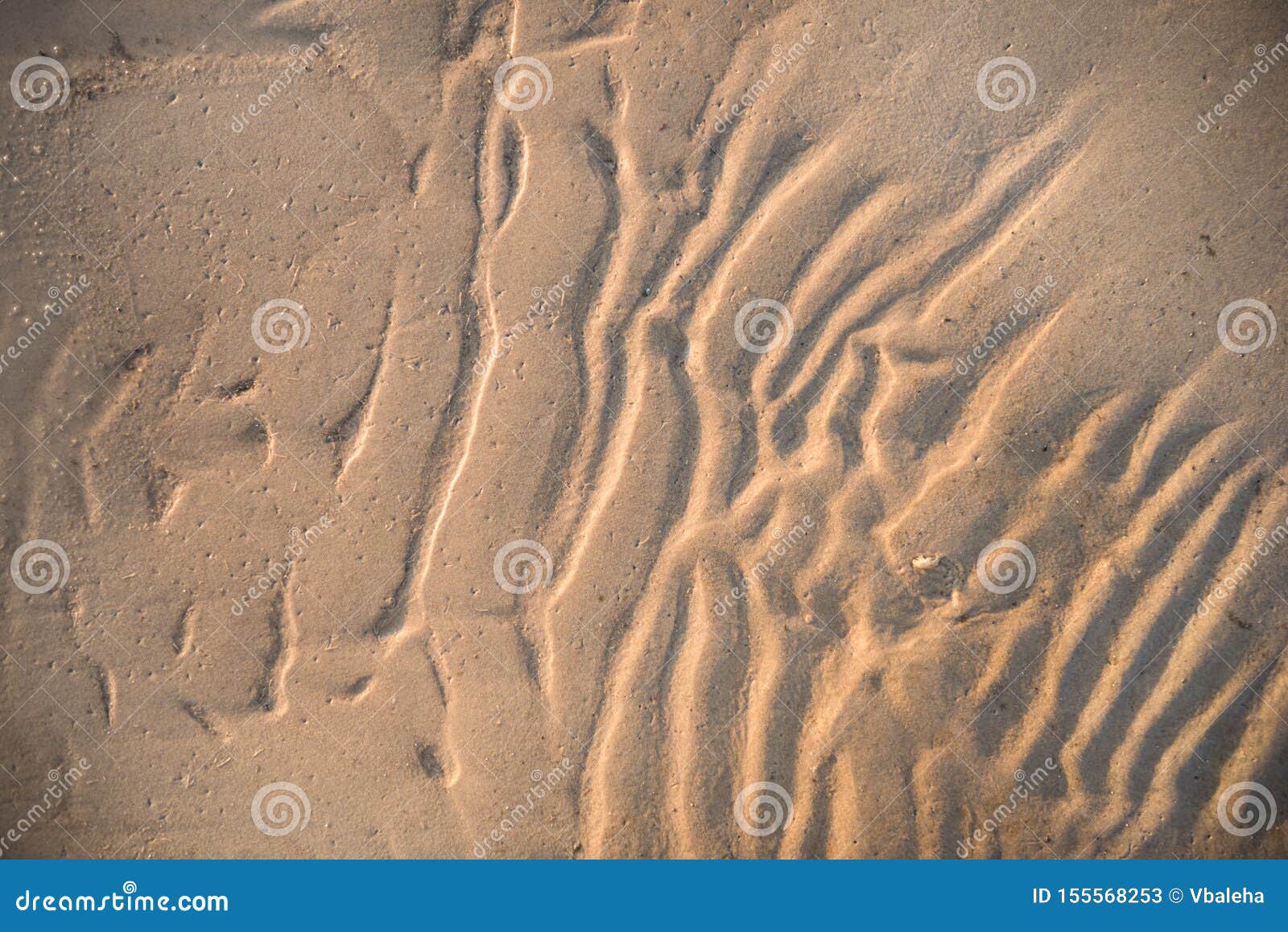 Sandy Backdrop Ready for Design Stock Image - Image of design, natural ...