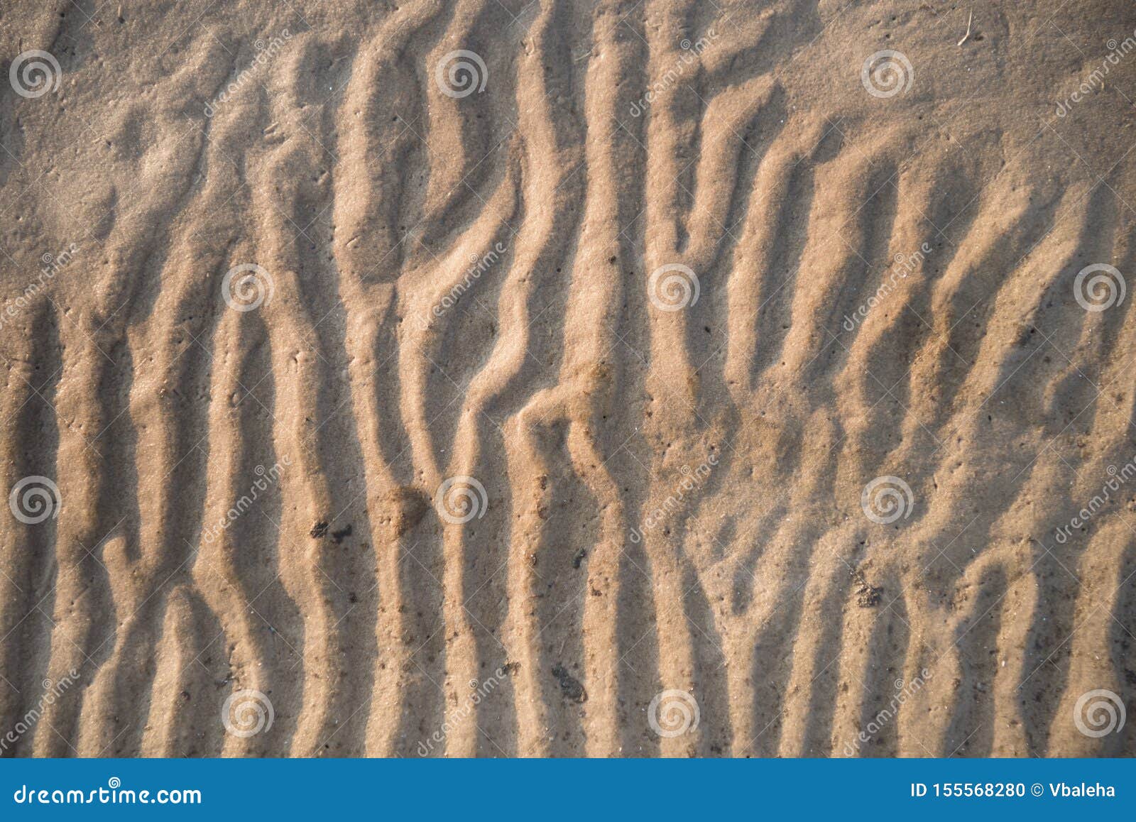 Sandy Backdrop Ready for Design Stock Photo - Image of sand, brown ...