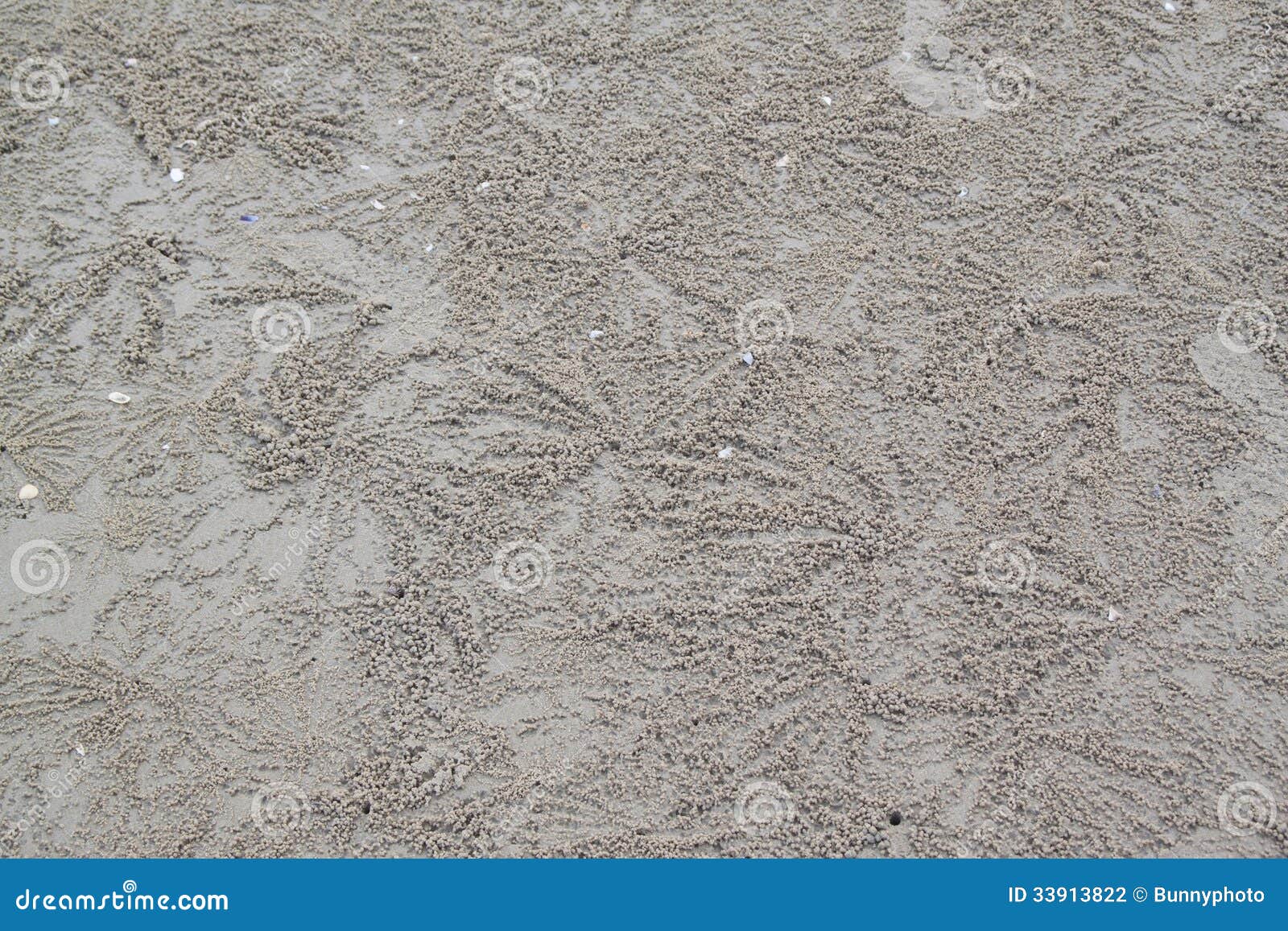Sand ball on the beach stock photo. Image of closeup - 33913822