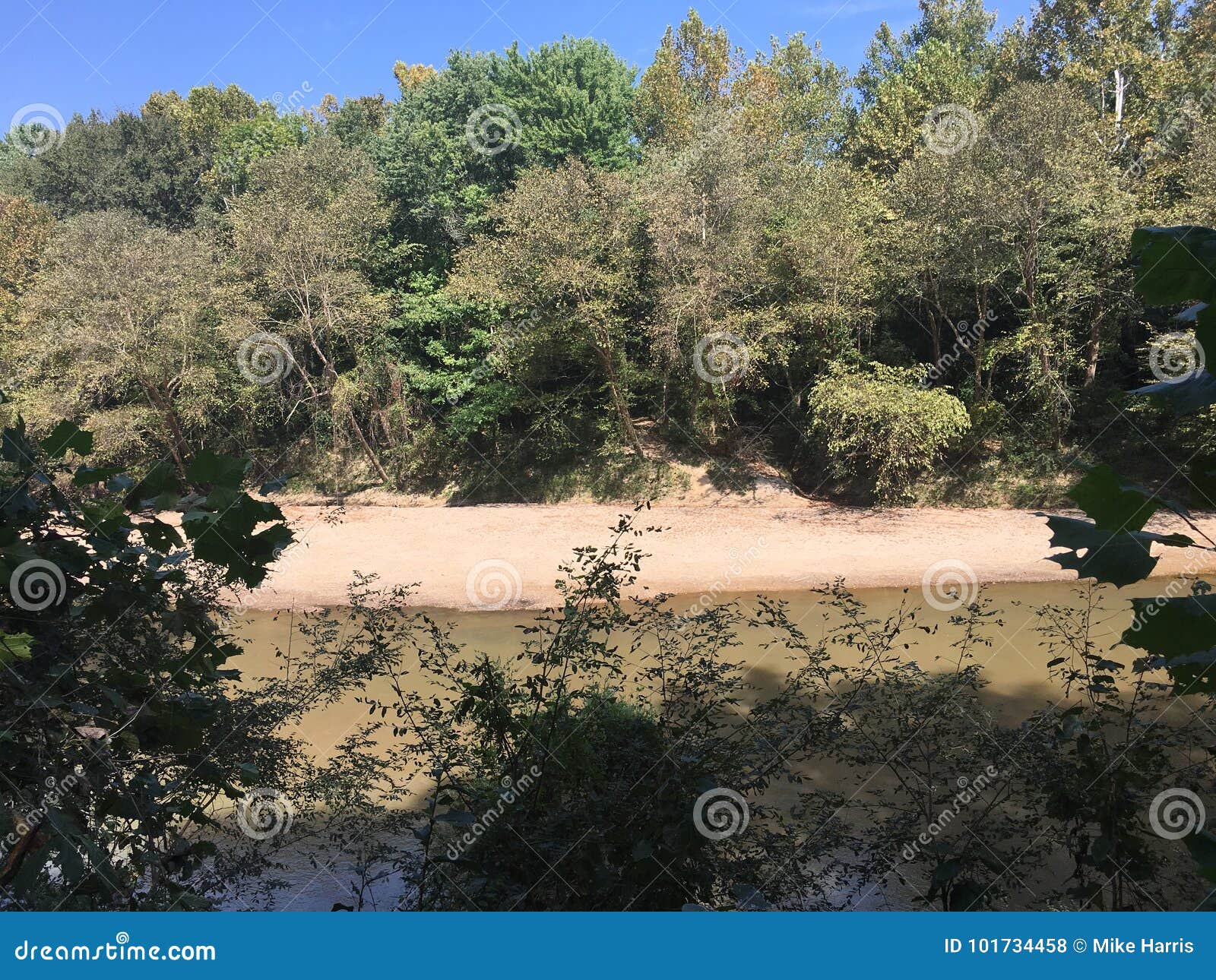 Sand bank stock photo. Image of blue, trees, sand, river - 101734458