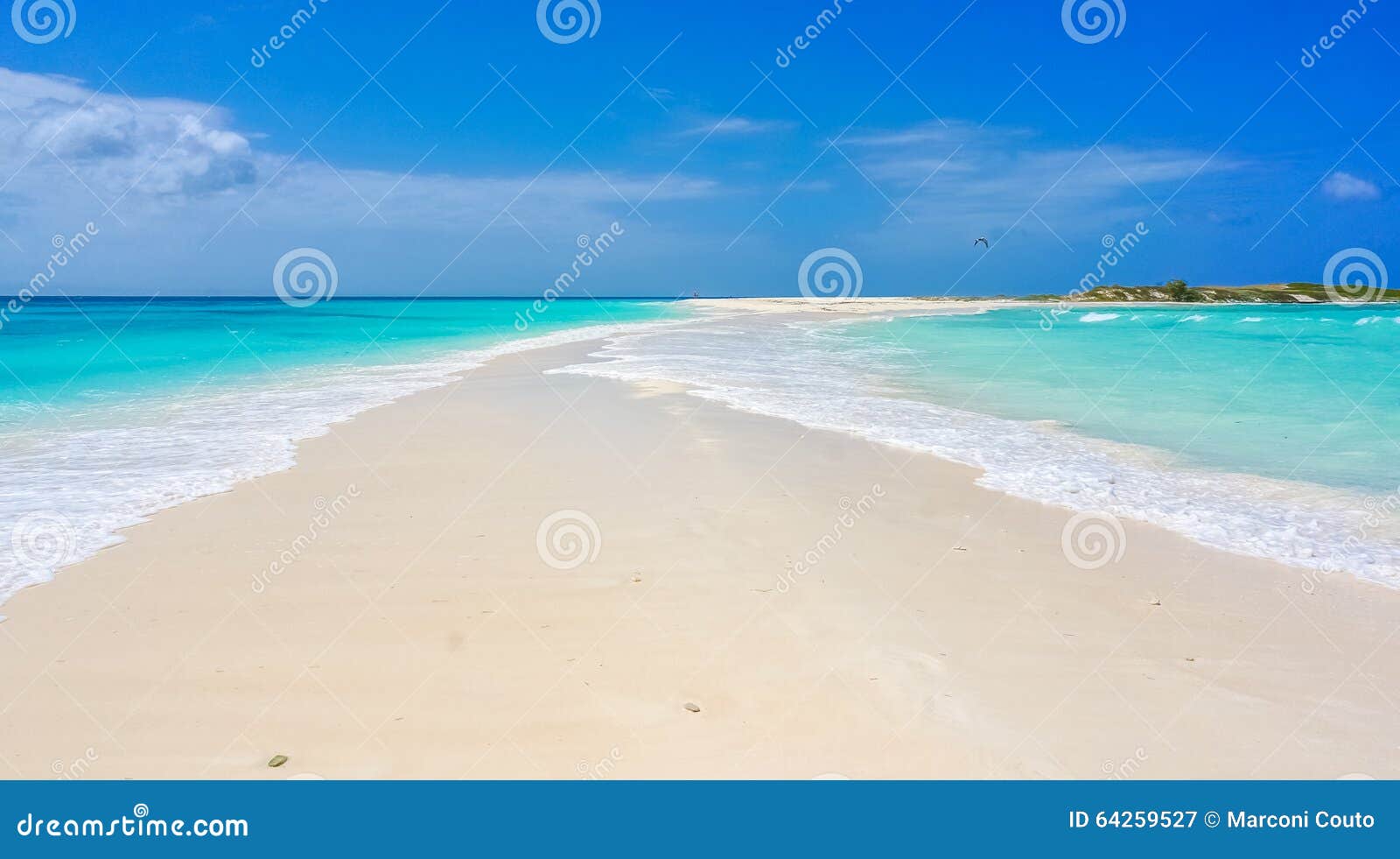 Sand Bank in a Caribbean Beach Stock Image - Image of bank, destination ...