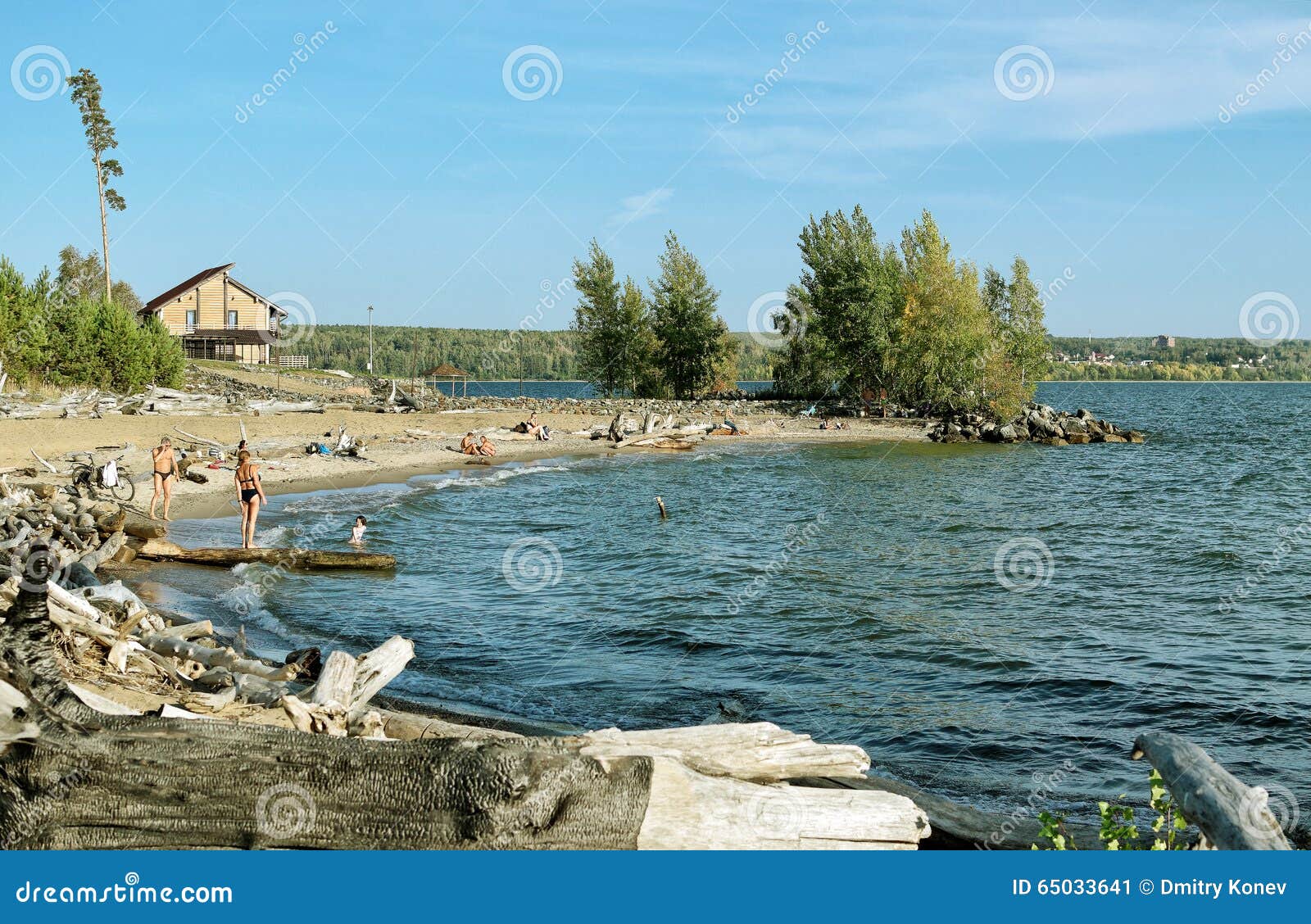 Sand Bar with Trees by the Sea Editorial Photo - Image of sand, beach ...