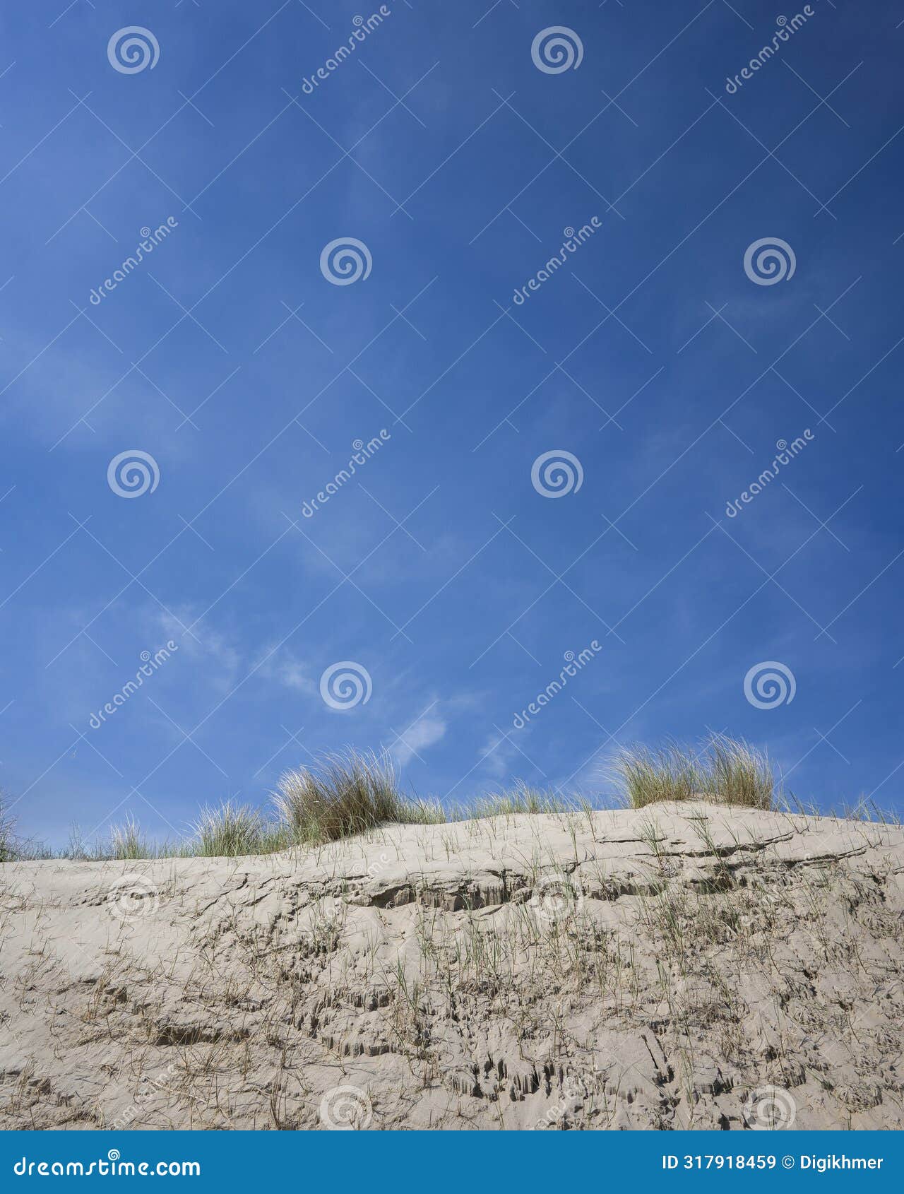 Sand Barriers with Grass Protect Sea Water Stock Image - Image of ... Sand Barriers with Grass Protect Sea Water Stock Image - Image of ...