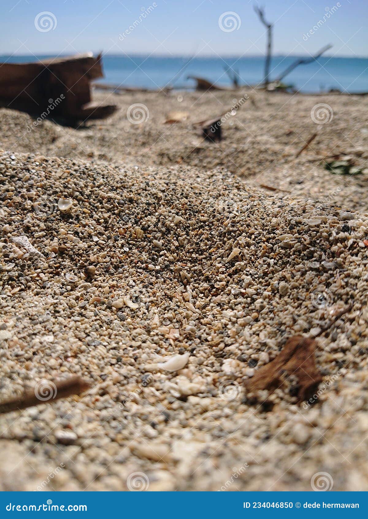 Sand of beac stock photo. Image of plant, autumn, geology - 234046850