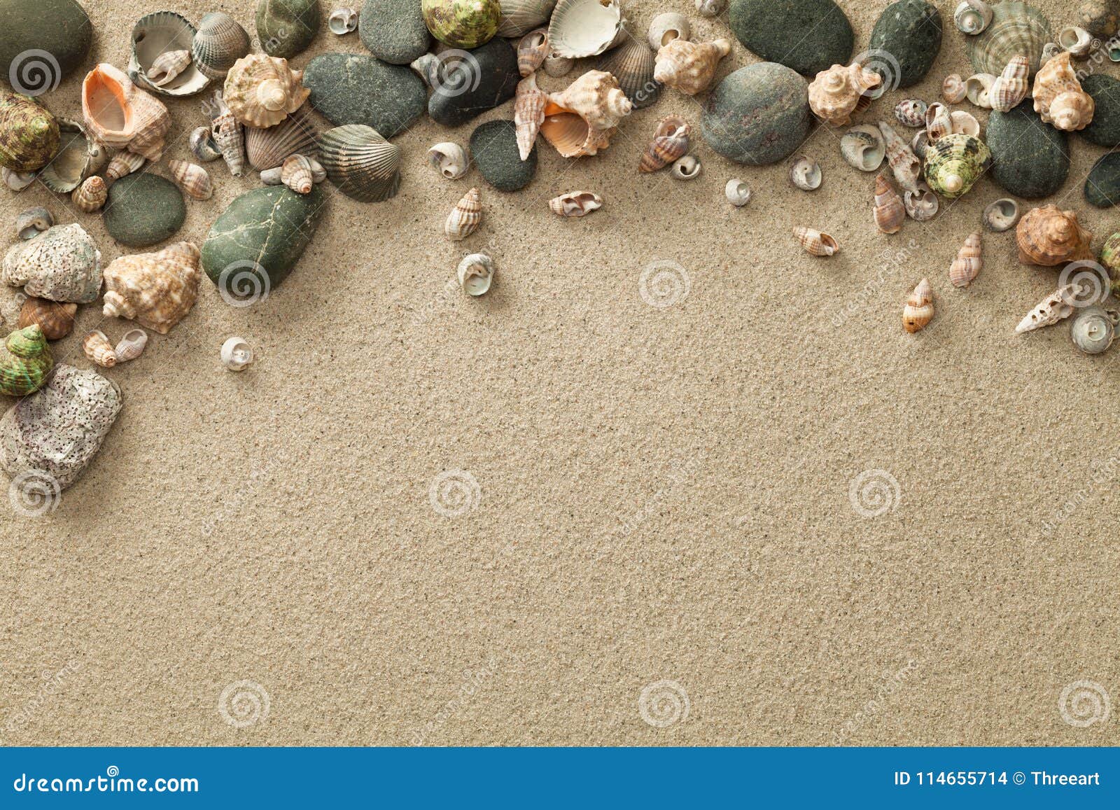 Sand, Beach Background with Shells and Stones Stock Photo - Image of ...