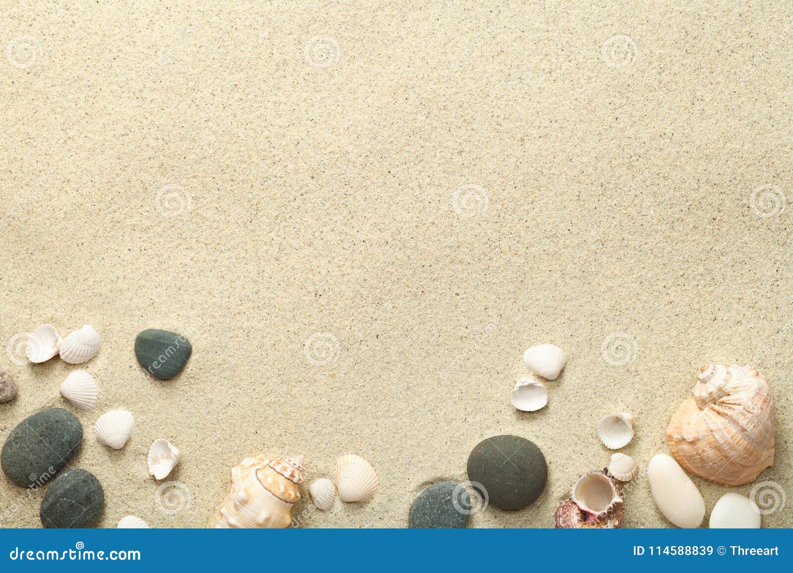 Sand, Beach Background with Shells and Stones Stock Image - Image of ...