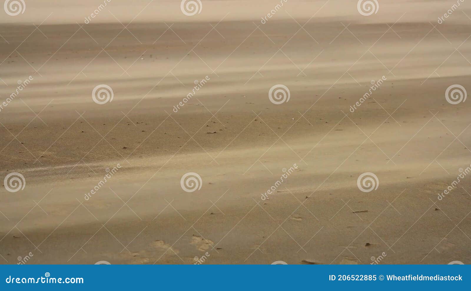 The Sand in the Beach Blown by the Wind, Sandstorm Landscape Stock ...