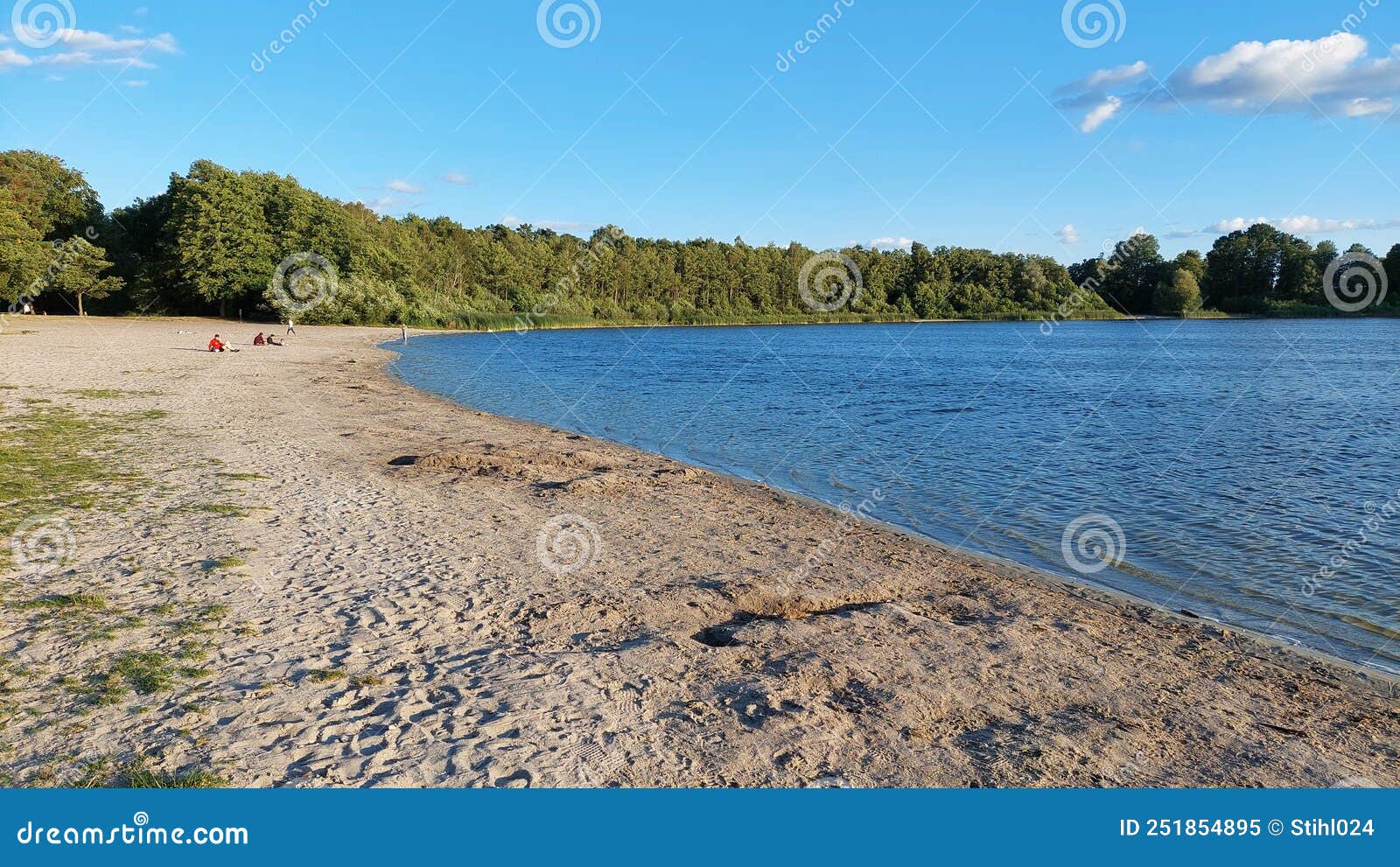 Sand Beach at Lake with Forest on Shore Line Stock Image - Image of ...