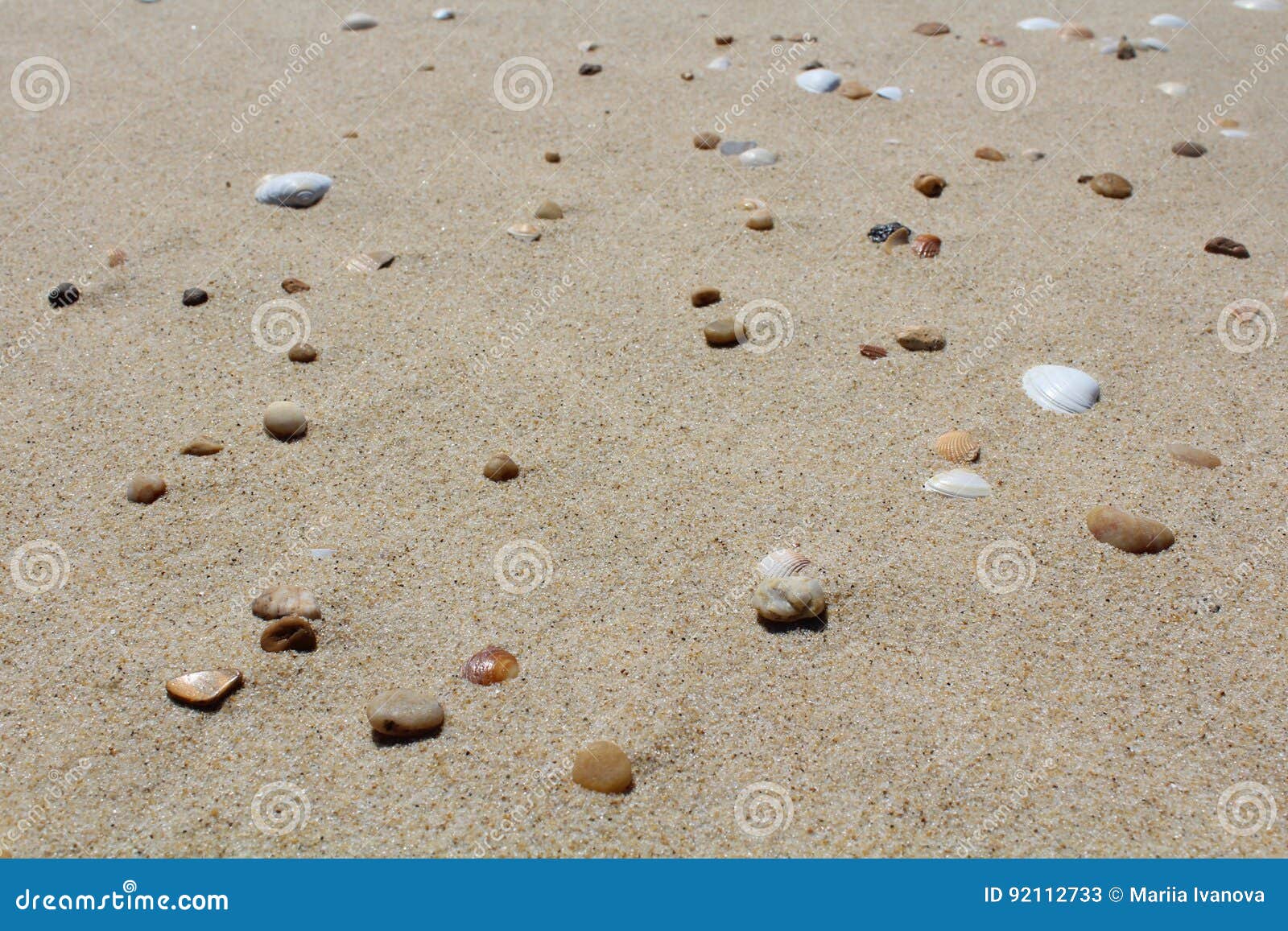 Sand beach stock image. Image of stone, summer, shell - 92112733