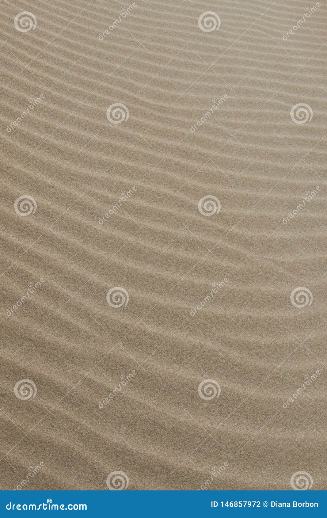 Sand Beach Pattern. Sand Texture Stock Photo - Image of grain, close ...
