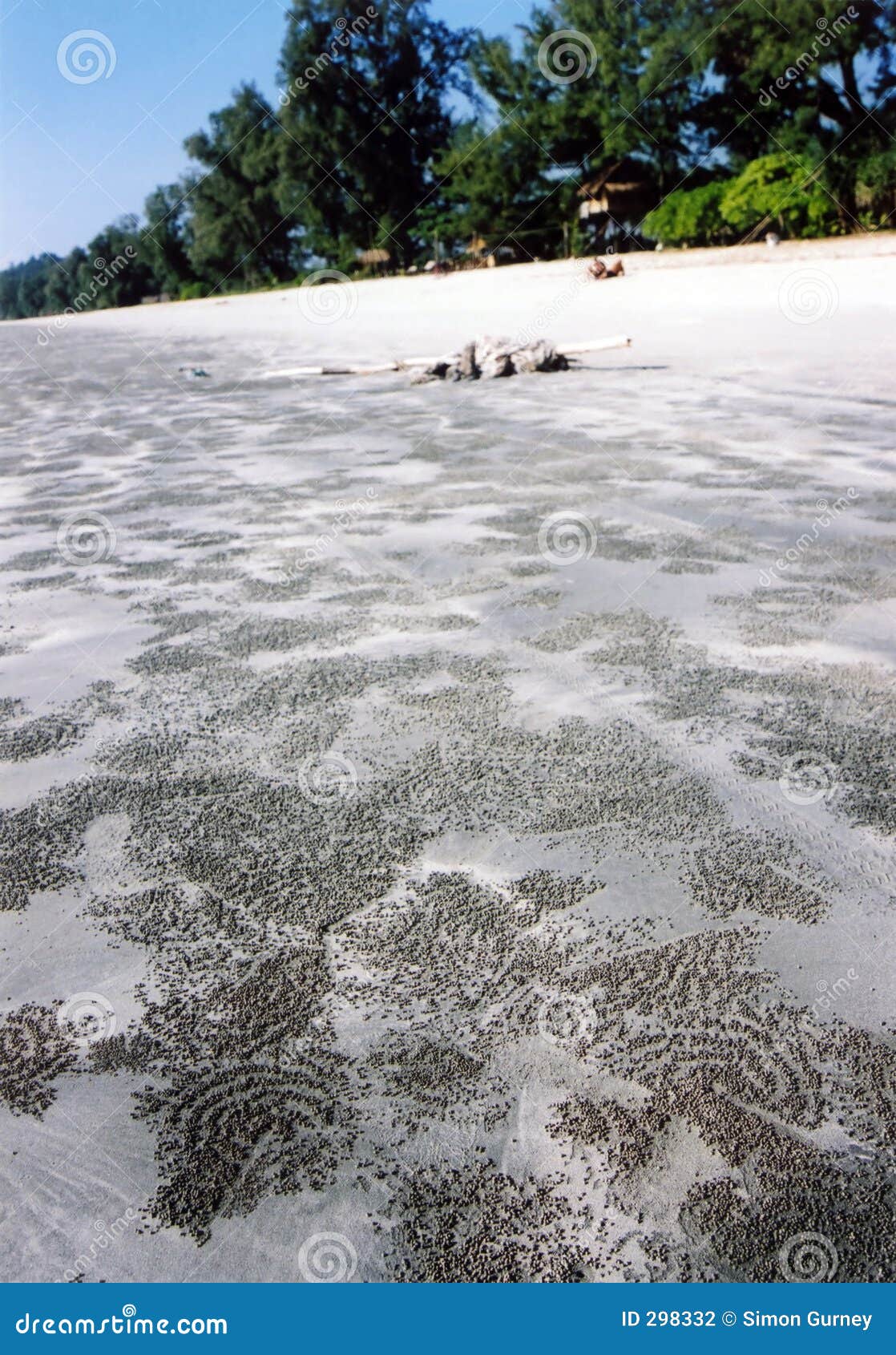 Sand Beach Patterns Koh Pha Yam Stock Photo - Image of indochina ...