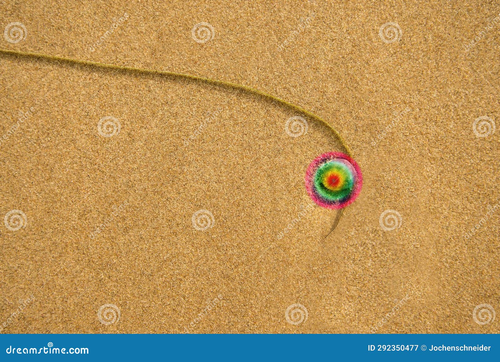 Thread Of Rainbow Colors Royalty-Free Stock Photography | CartoonDealer ...