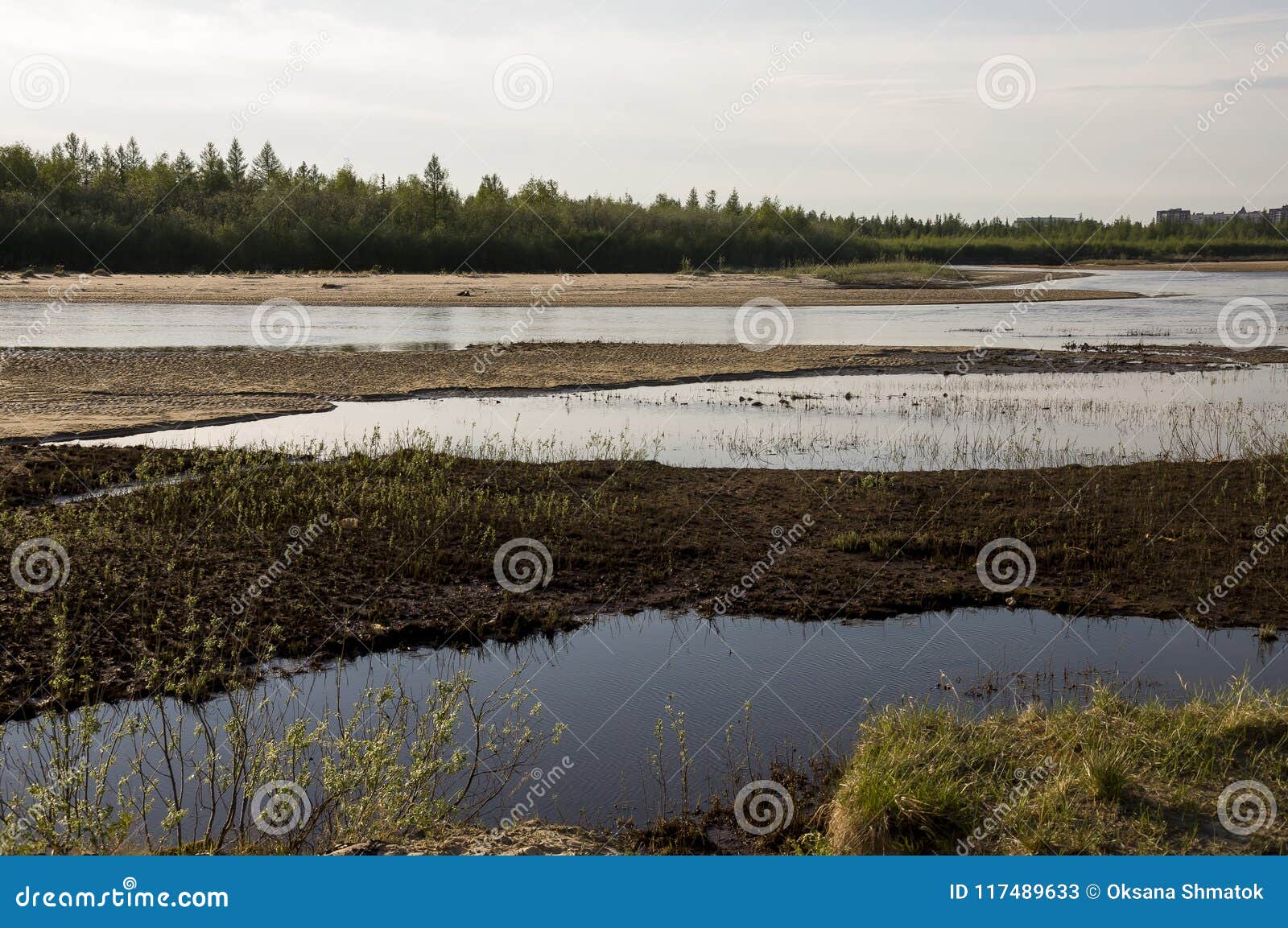 Sand Beach of the River with Green Shrubs and Trees Stock Image - Image ...