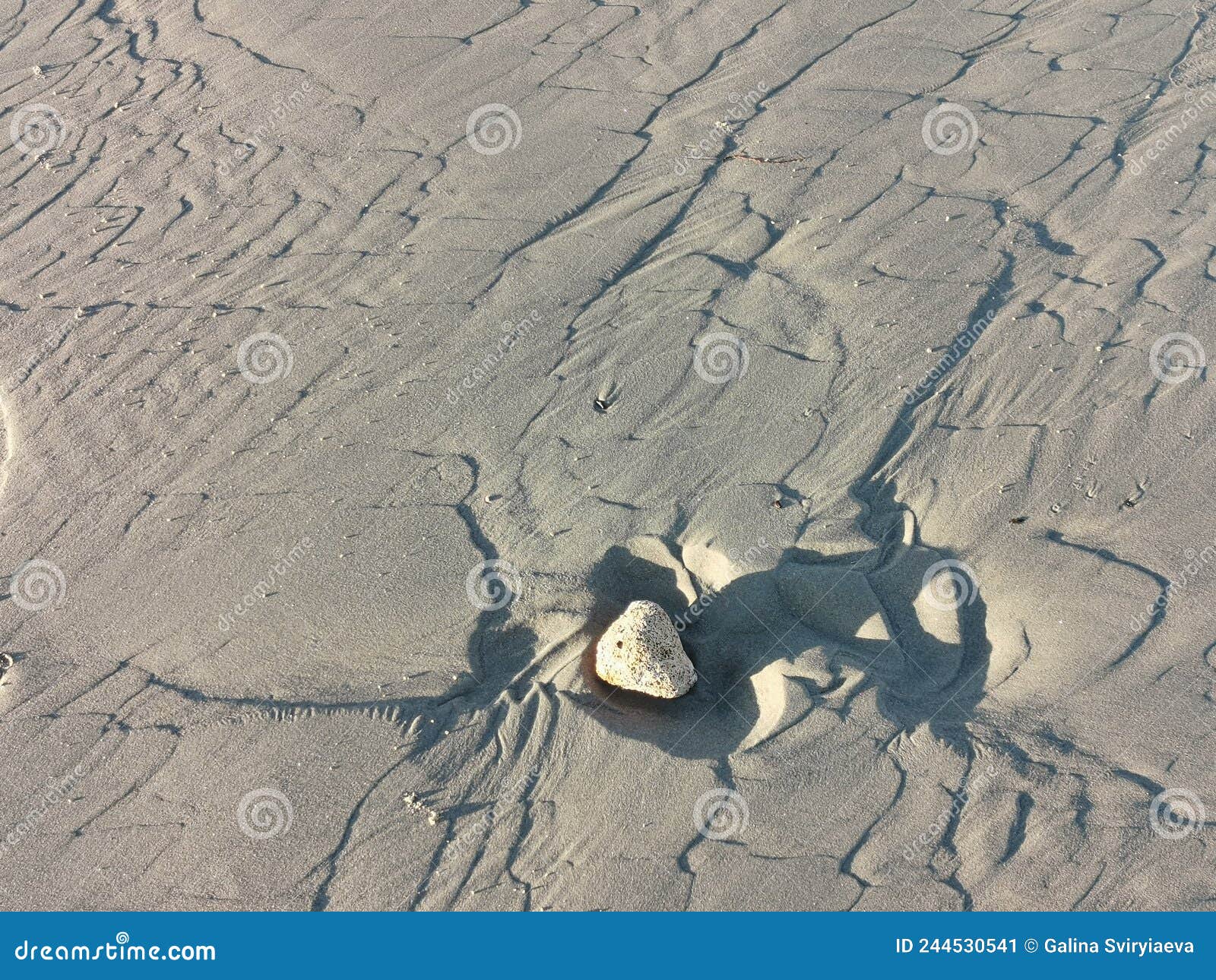 Sand on the Beach, Shadows and Sun Light on Sand, Wind Pattern on Sand ...