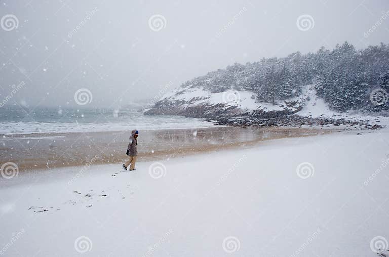 Sand Beach during a Snow Storm Stock Image - Image of sand, slush: 22794975