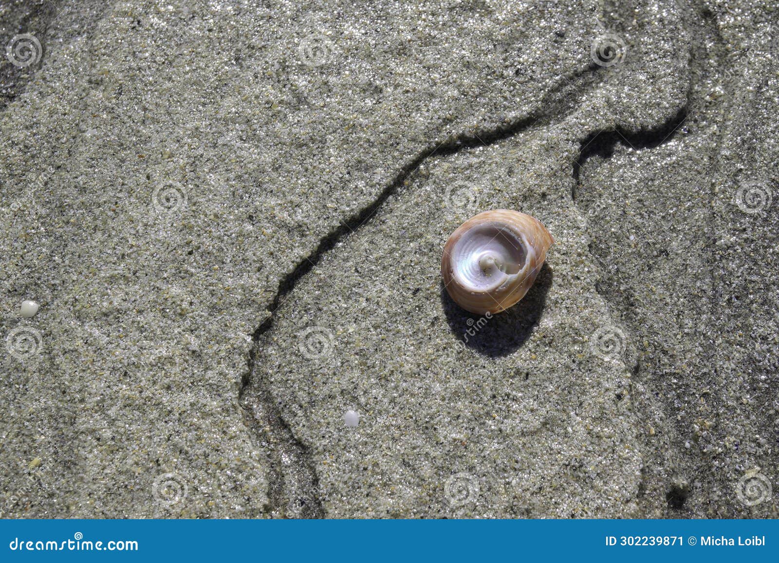 Sand Beach Structres Diagonal, Water Snail Shell Stock Image - Image of ...