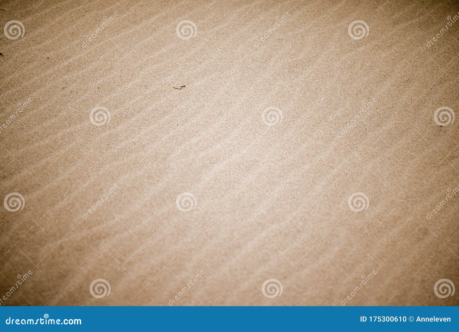 Sand on the Beach in Summer, Texture As Background Stock Photo - Image ...