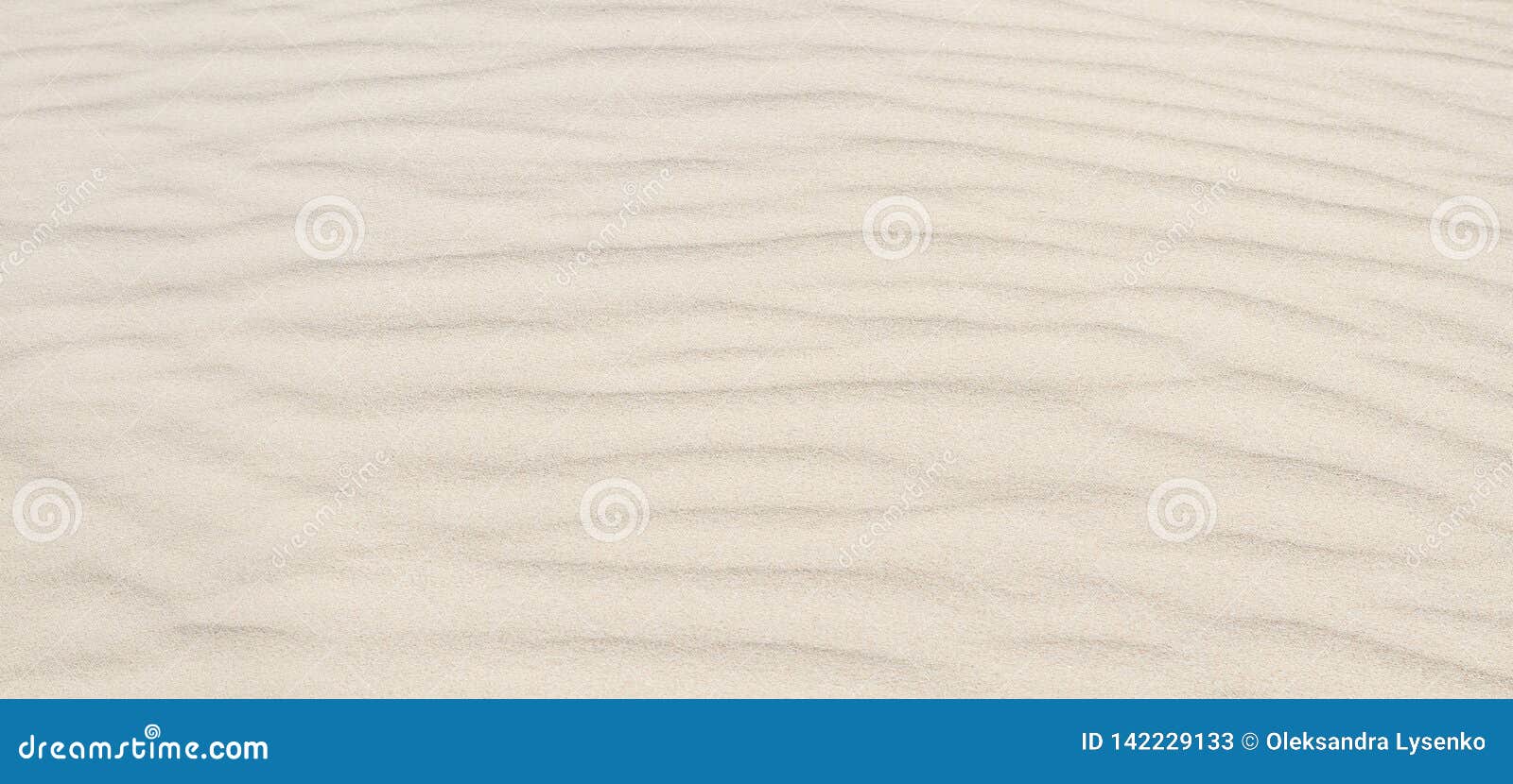 Sand Beach Texture Background. Mock Up and Copy Space. Top View Stock ...