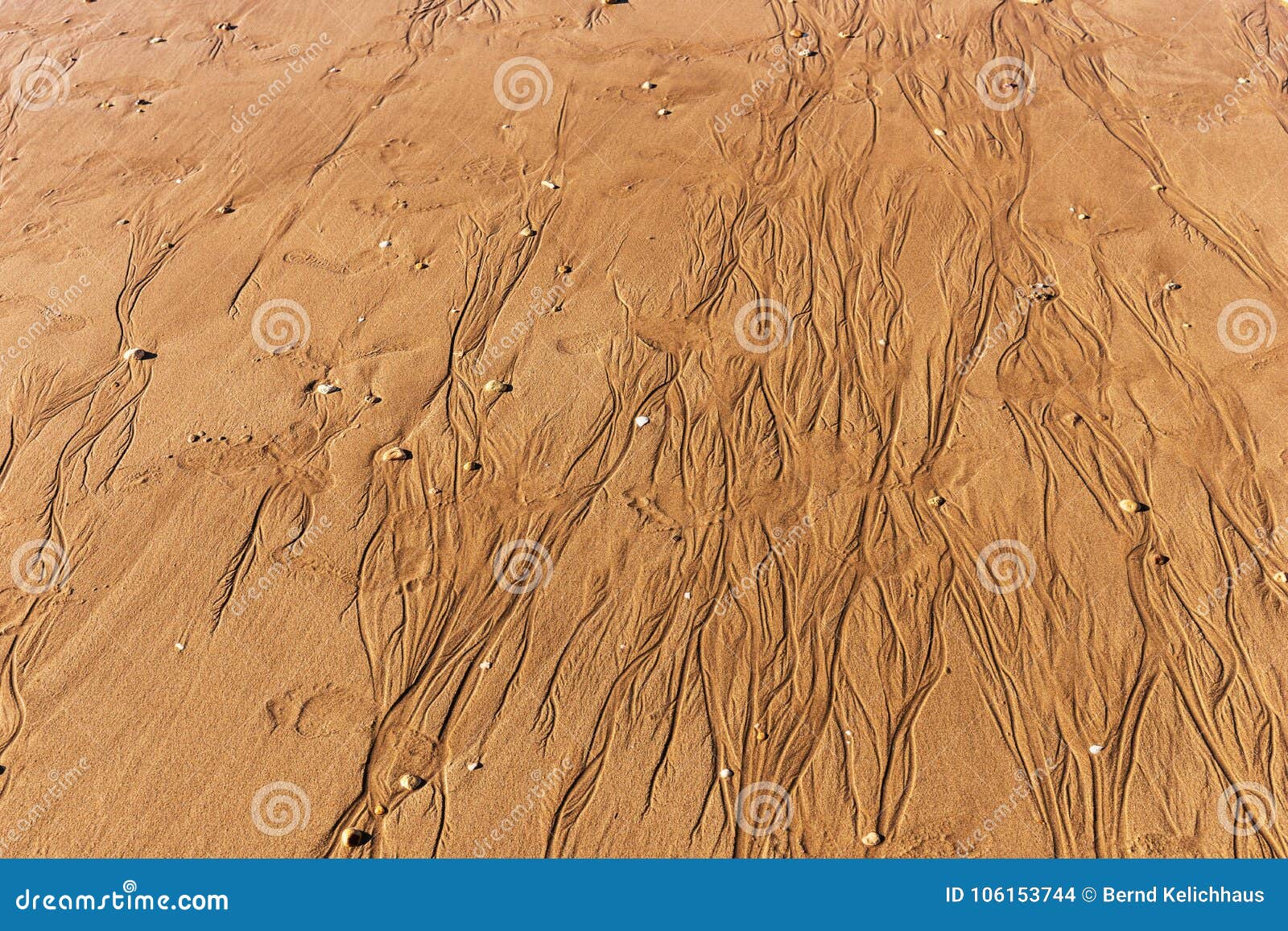 Sand Beach Texture. Brown Sandy Beach for Background Stock Photo ...