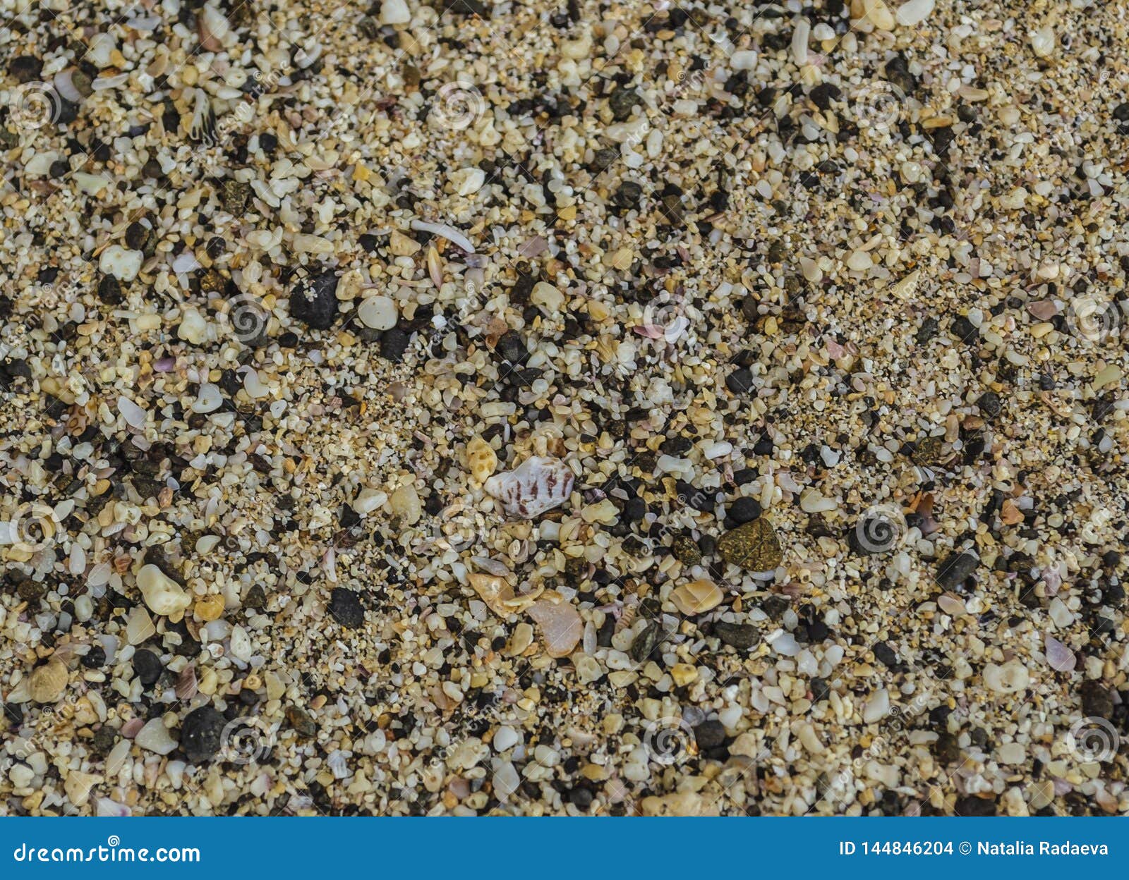 Sand Beach Texture with Shells and Small Pebbles Close-up Stock Photo ...