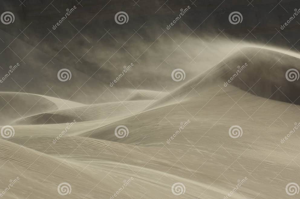 Sand Blowing Over Sand Dune in Wind Stock Image - Image of outdoors ...