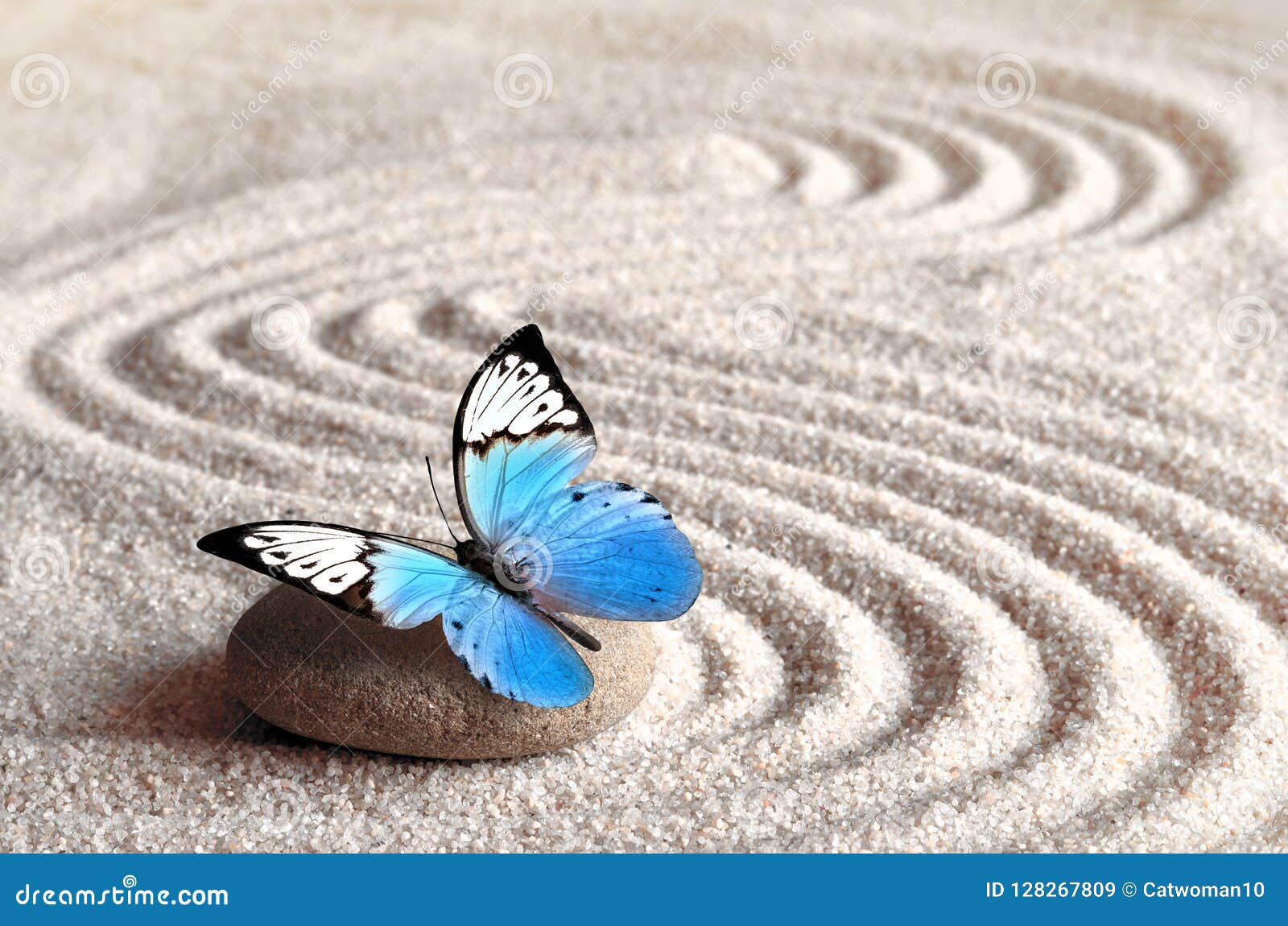 Sand, Blue Butterfly and Spa Stone in Zen Garden. Spa Concept. Stock ...