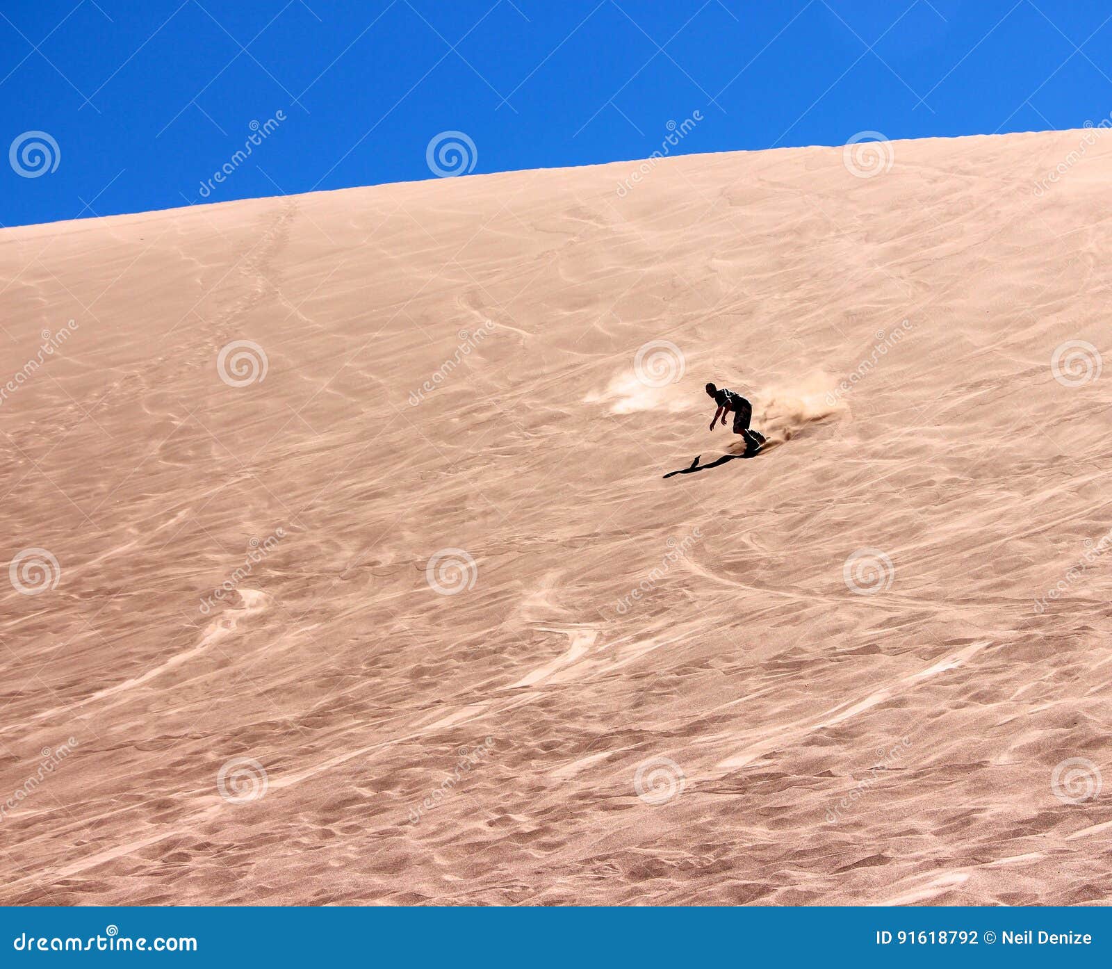 Sand Boarding on the dunes stock photo. Image of lone - 91618792