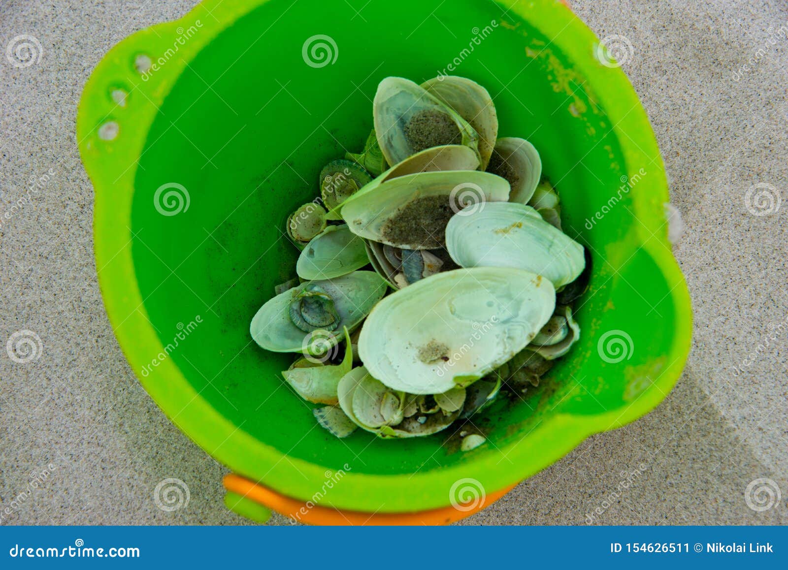Sand Bucket with Sea Shells Stock Image - Image of collection, nature ...