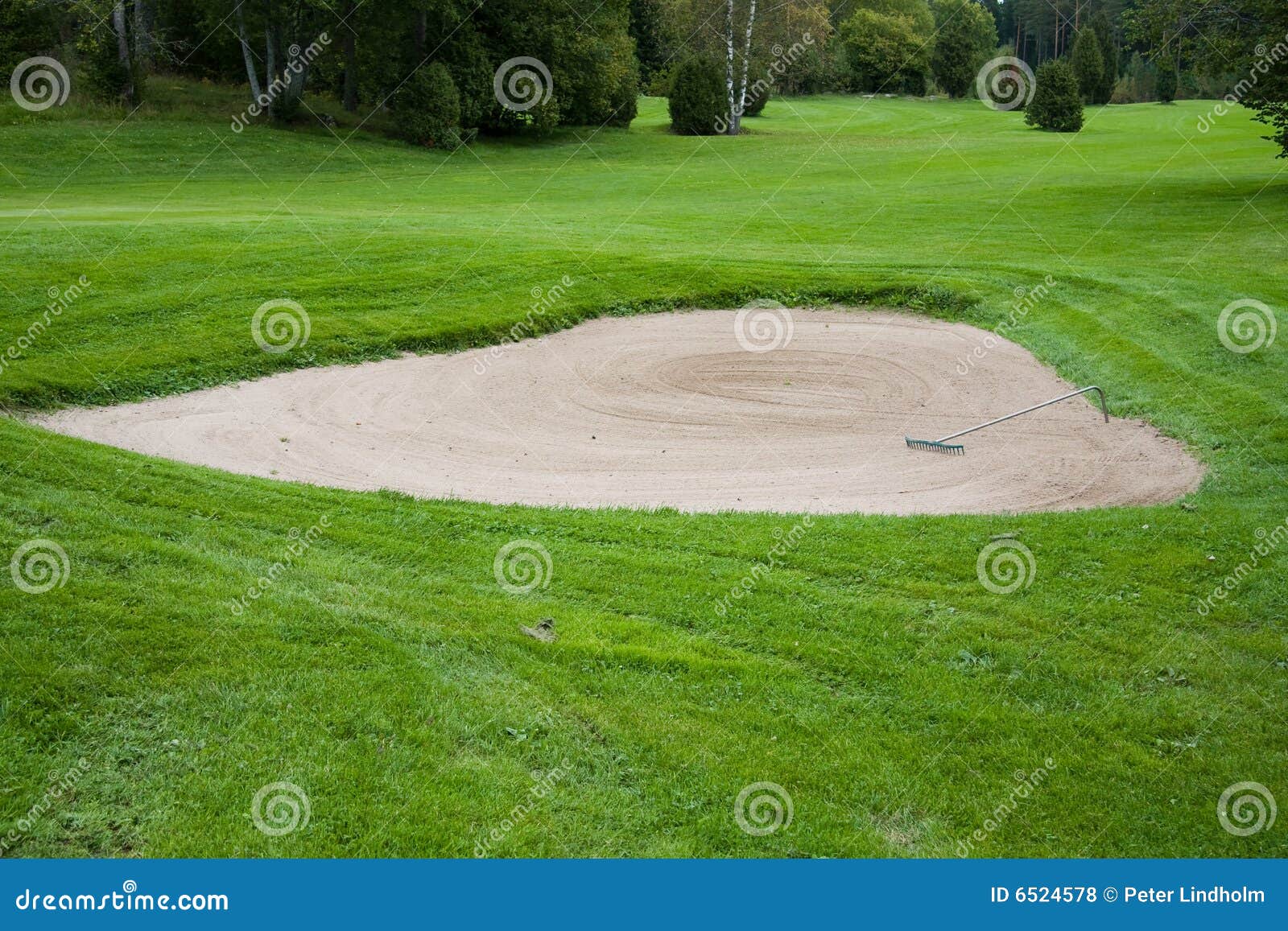 Sand bunker on golf course stock photo. Image of trees - 6524578