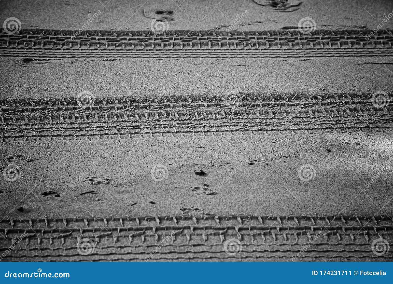 Sand car marks stock image. Image of automobile, direction - 174231711