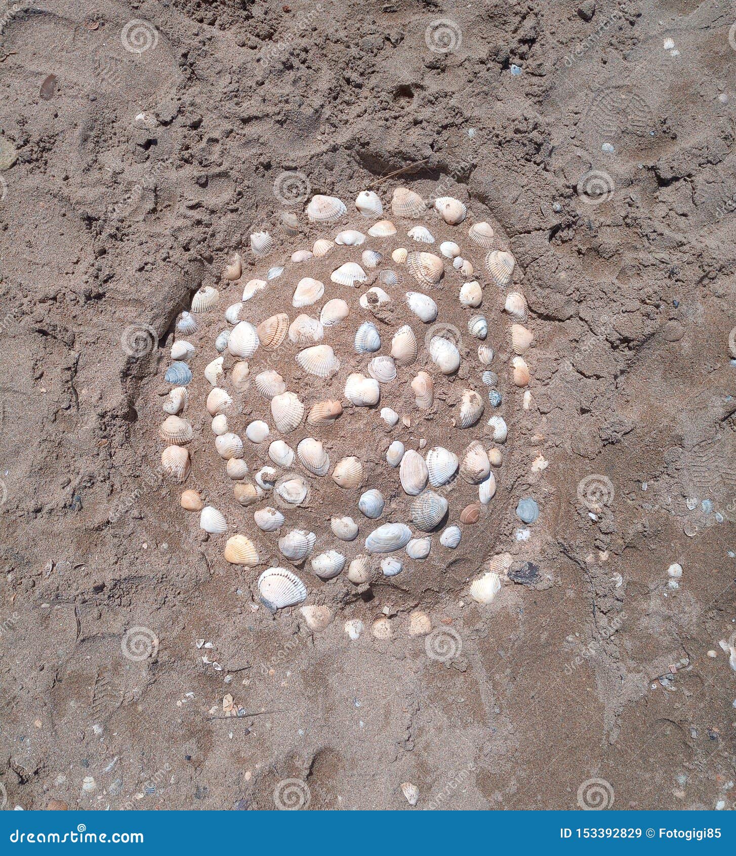 Sand Castle and Seashells on Beach Stock Image - Image of season ...