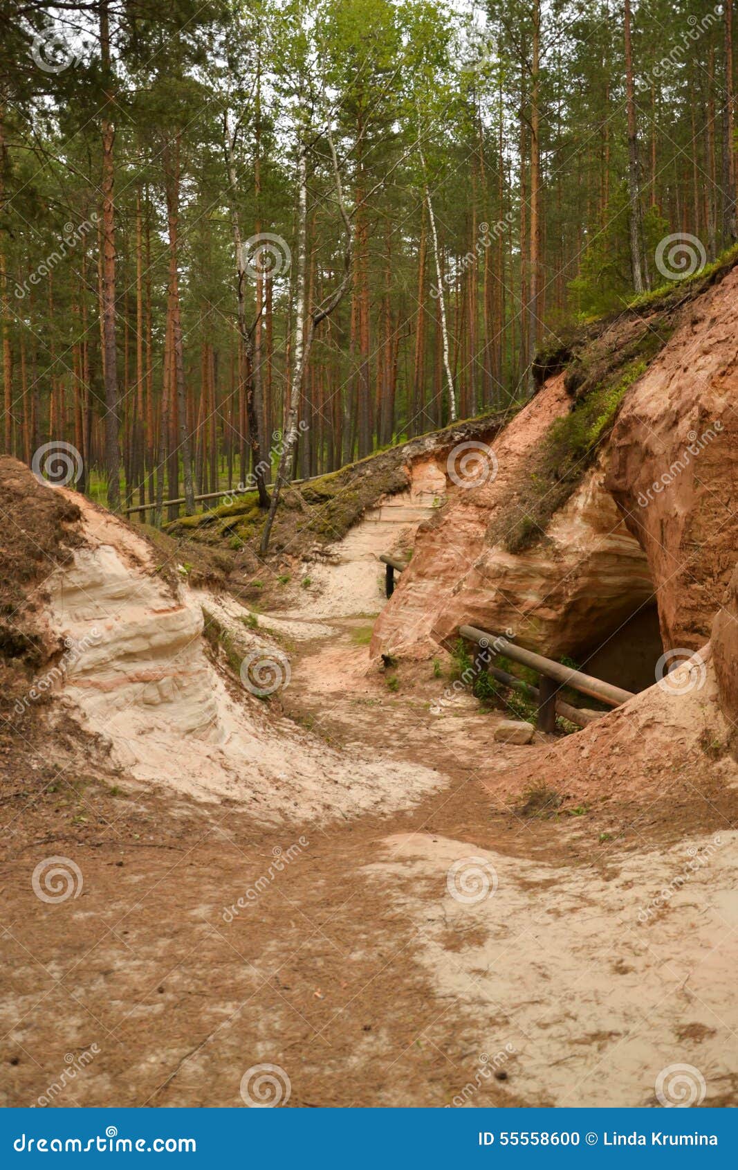 Sand cave stock photo. Image of aisles, beauty, branch - 55558600