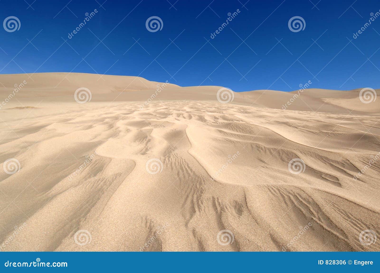 Sand and clear blue sky stock photo. Image of lonely, dunes - 828306