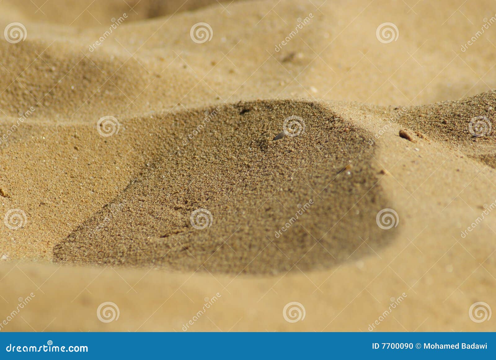 Sand closeup stock photo. Image of dune, beach, pattern - 7700090