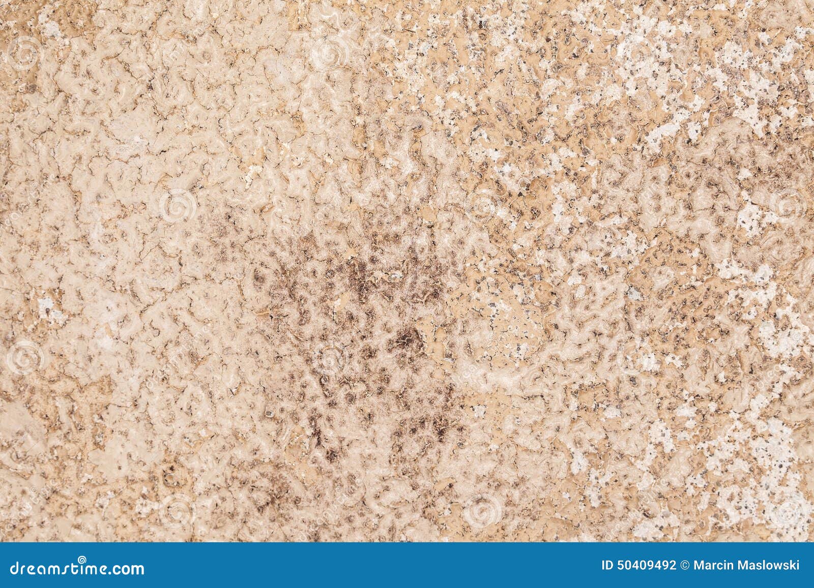 Sand-colored marble stock photo. Image of light, onyx - 50409492