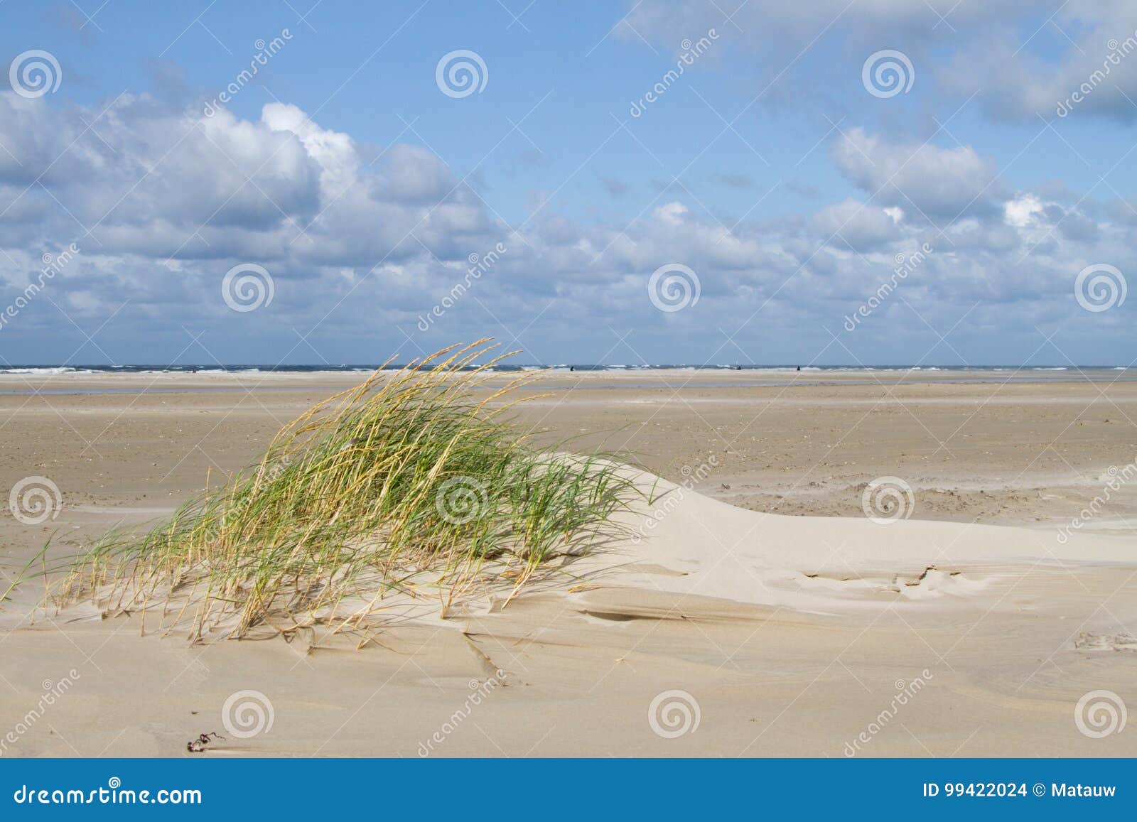 Sand Couch On Stormy Beach Royalty-Free Stock Photo | CartoonDealer.com ...