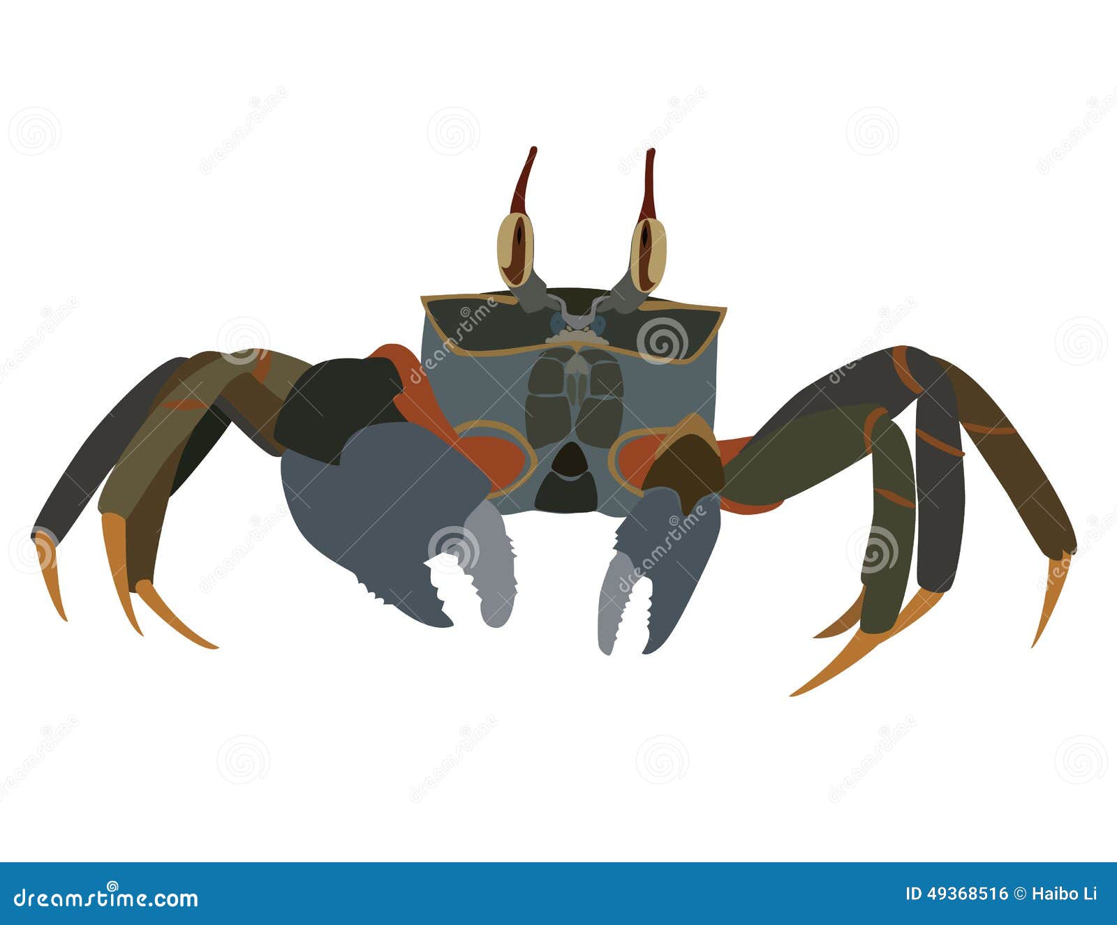 Sand crab vector stock vector. Illustration of cartoon - 49368516