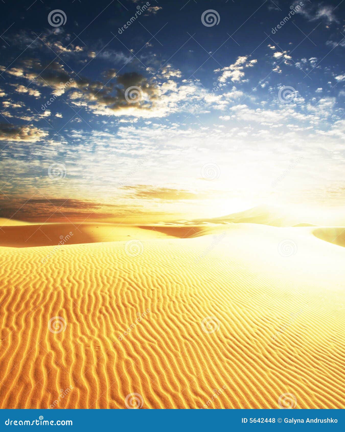 Sand desert stock photo. Image of summit, travel, sunny - 5642448