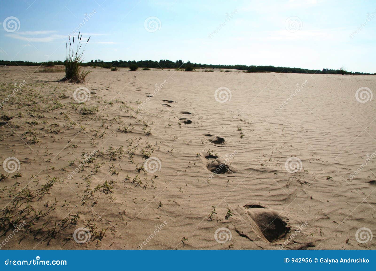 Sand desert stock photo. Image of sand, dune, landscape - 942956