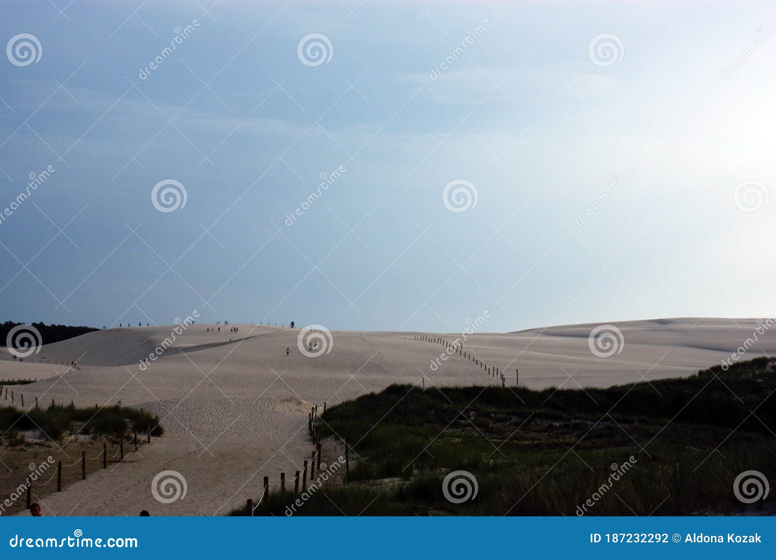 Sand on a Desert Dune at the Beach No People Stock Photo - Image of ...