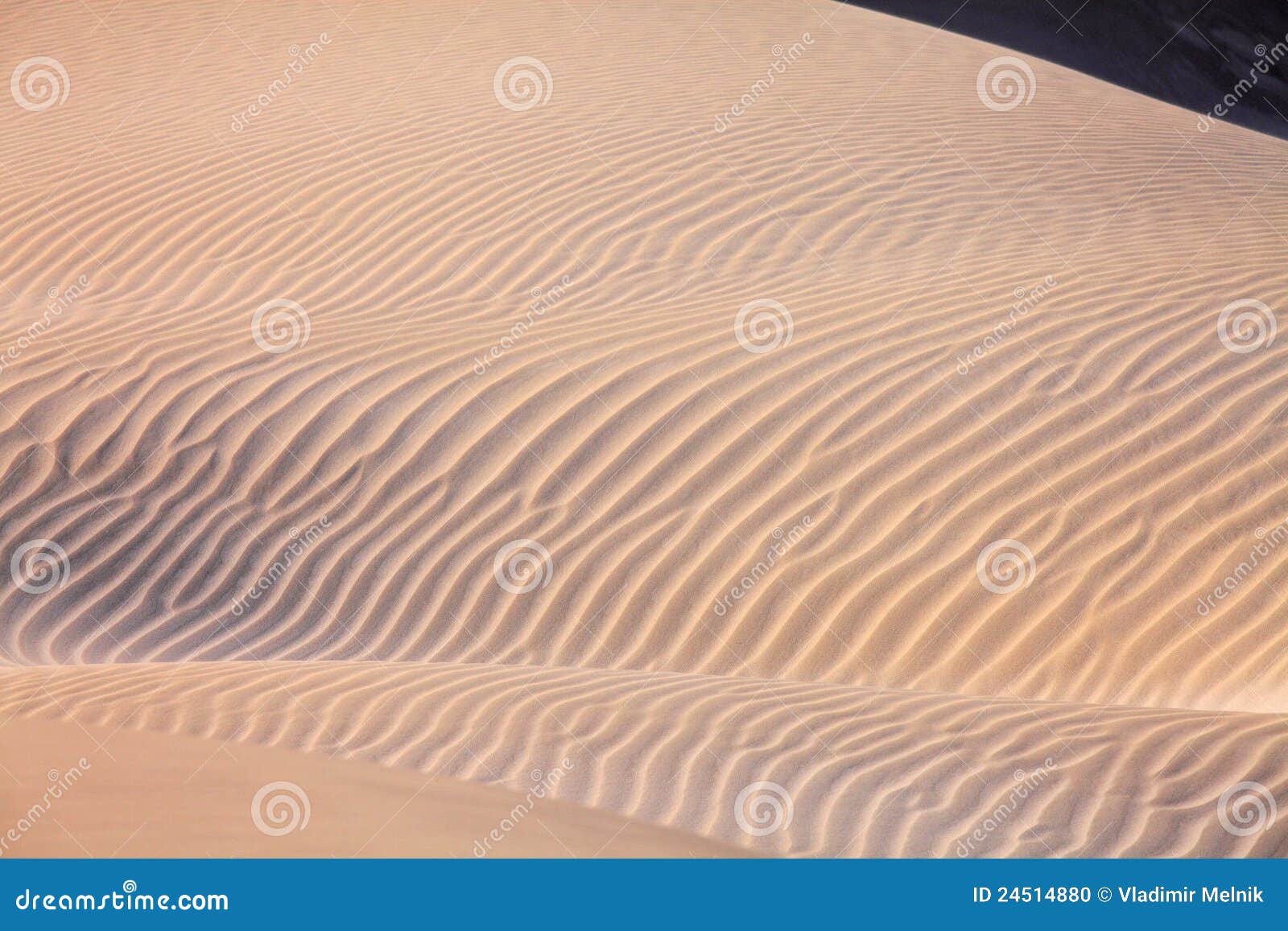 Sand desert surface stock photo. Image of sandy, white - 24514880