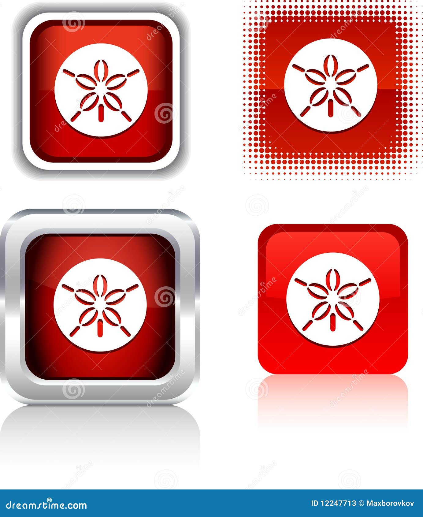 Sand dollar icons. stock vector. Illustration of square - 12247713