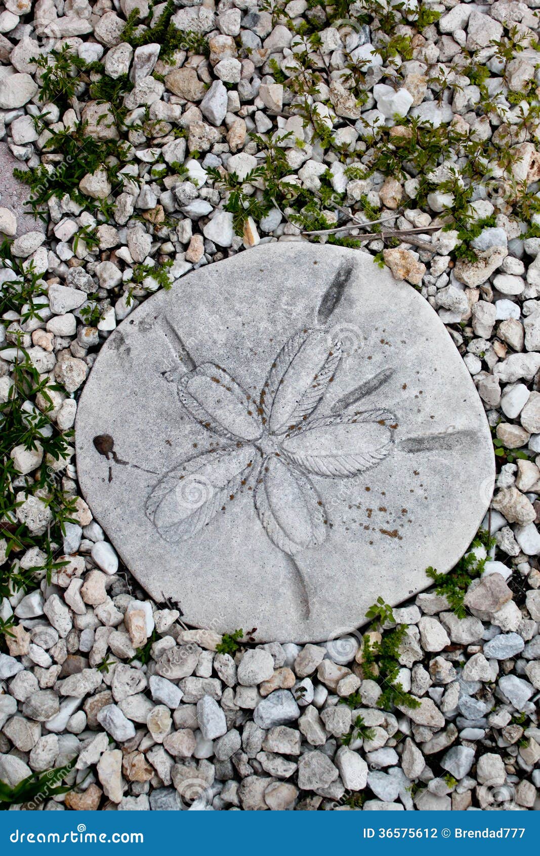 Stepping Stone Arrangements Stock Photo | CartoonDealer.com #237493458