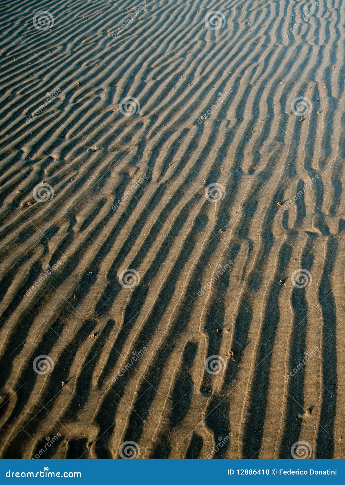 Sand drawings stock photo. Image of marine, natures, details - 12886410